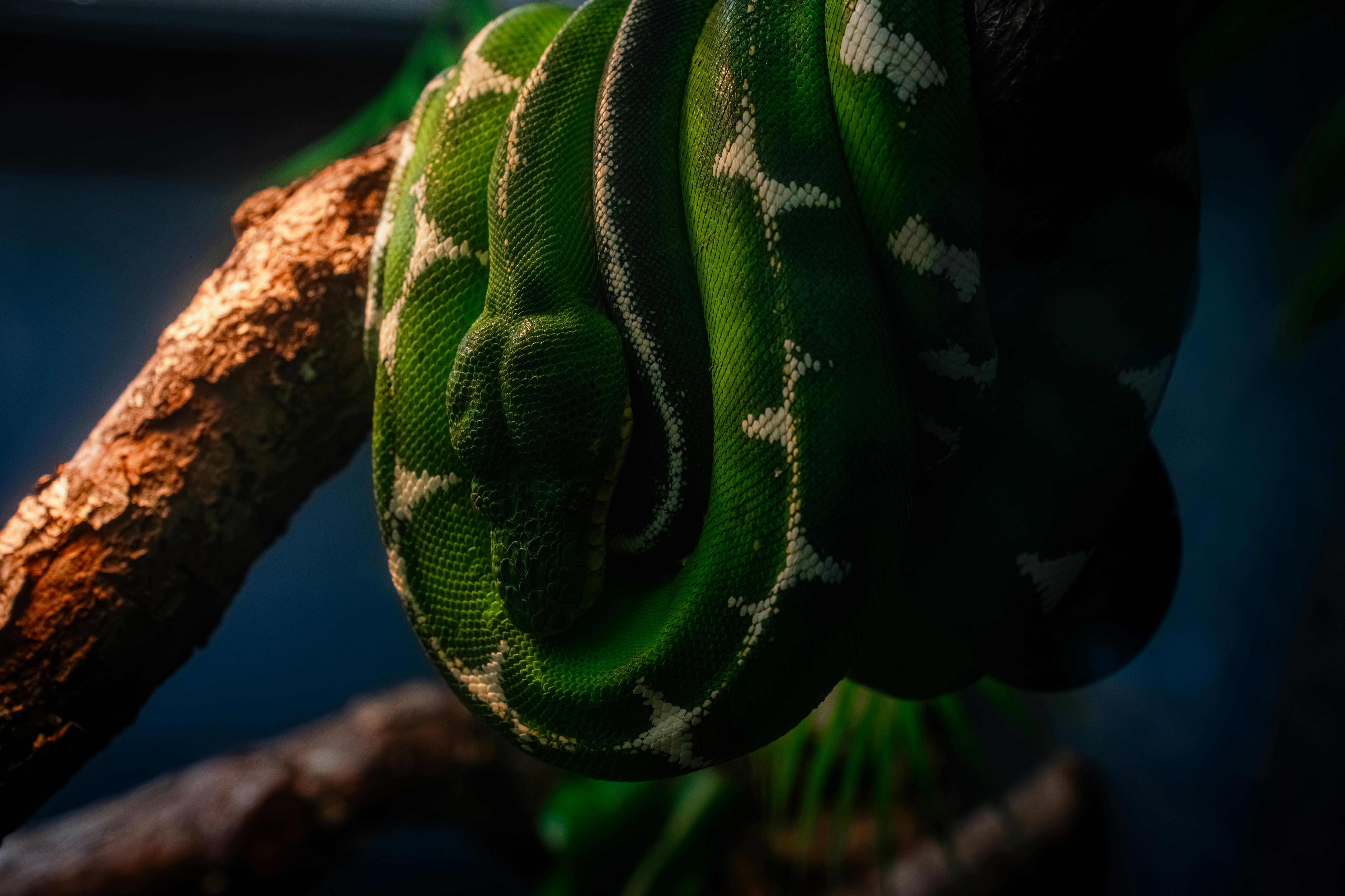 Pixabay Image Resolution Photos, Download The BEST Free Pixabay Image ...