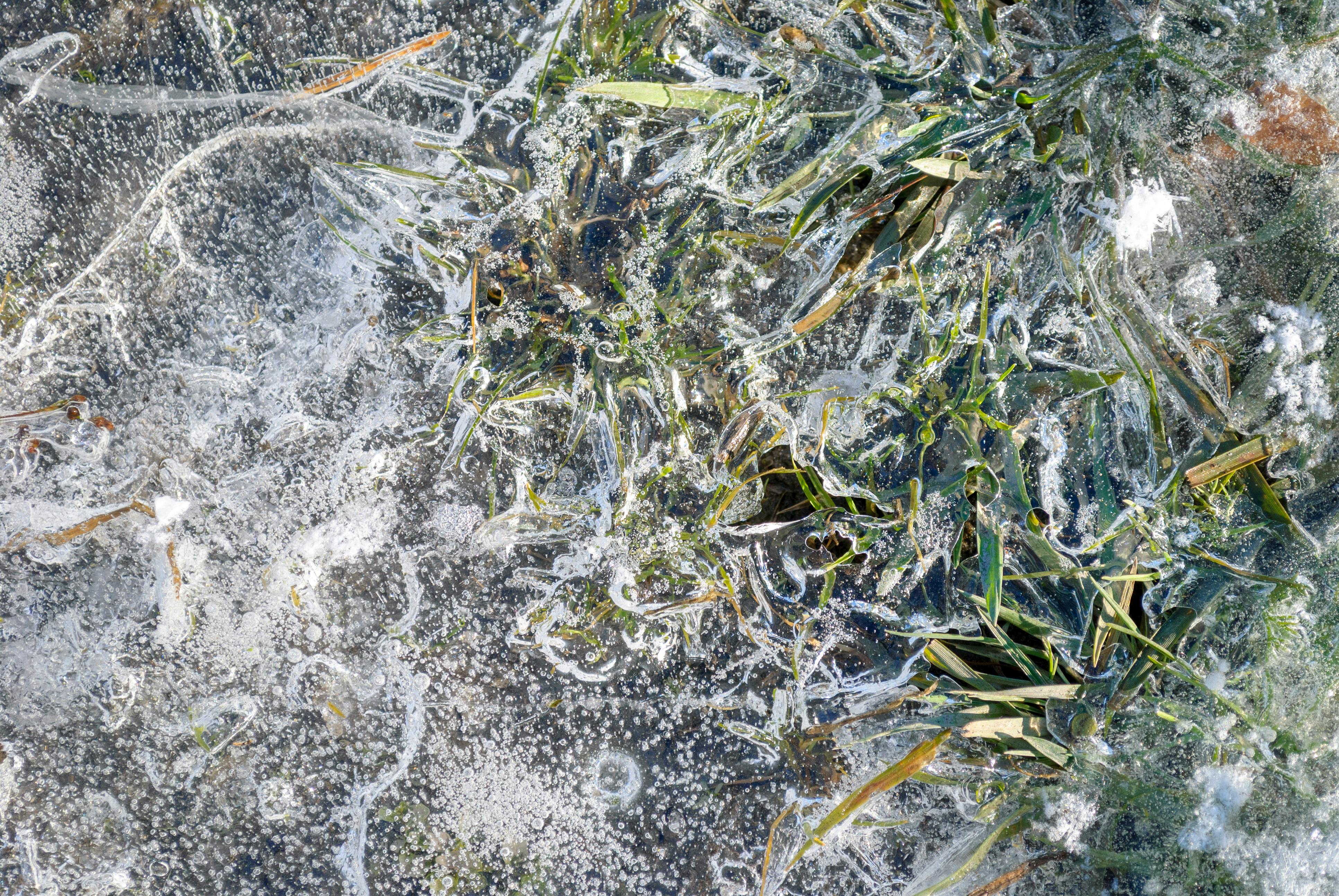 Background Software Transparent Photos, Download The BEST Free ...