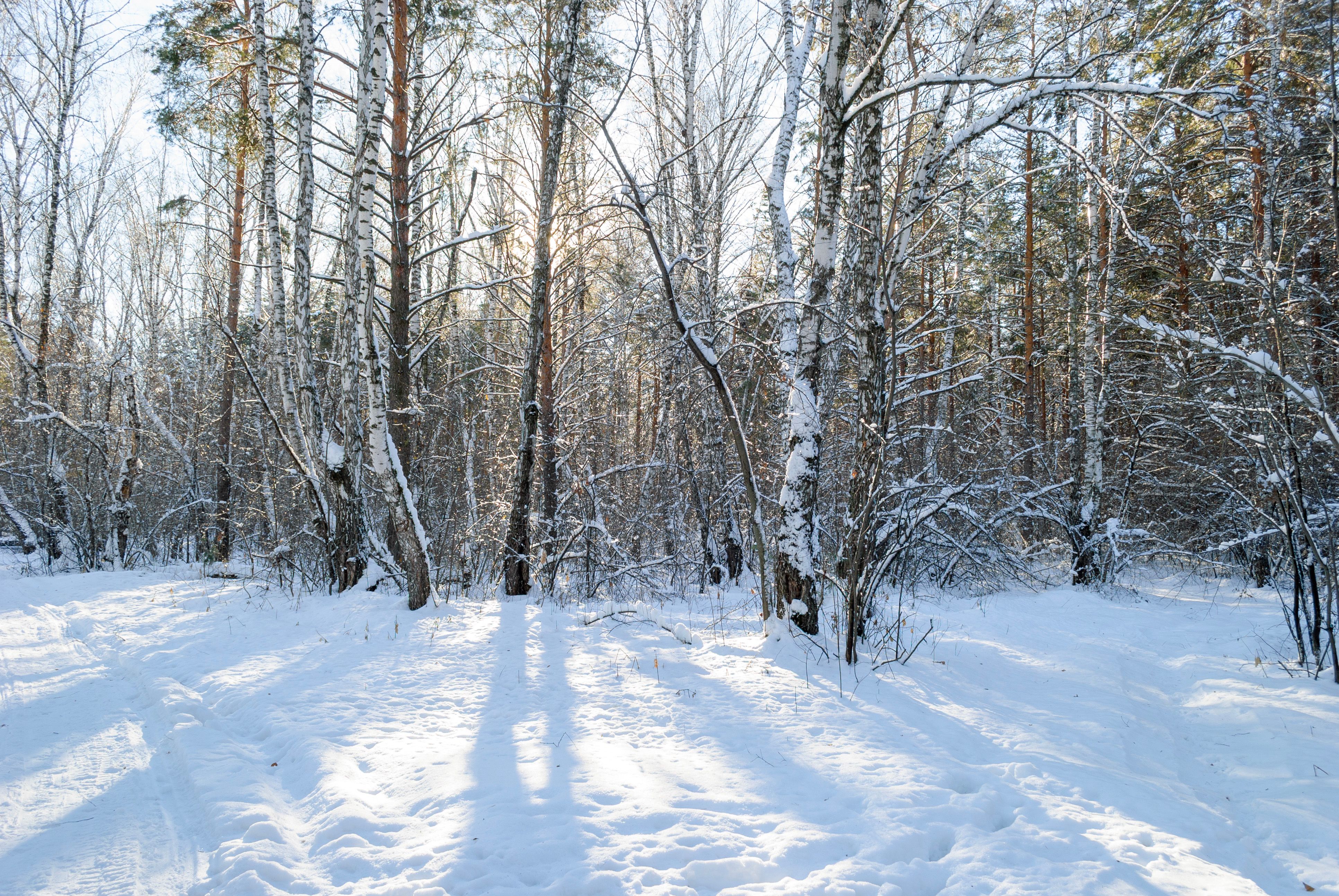White Background Landscape Photos, Download The BEST Free White ...