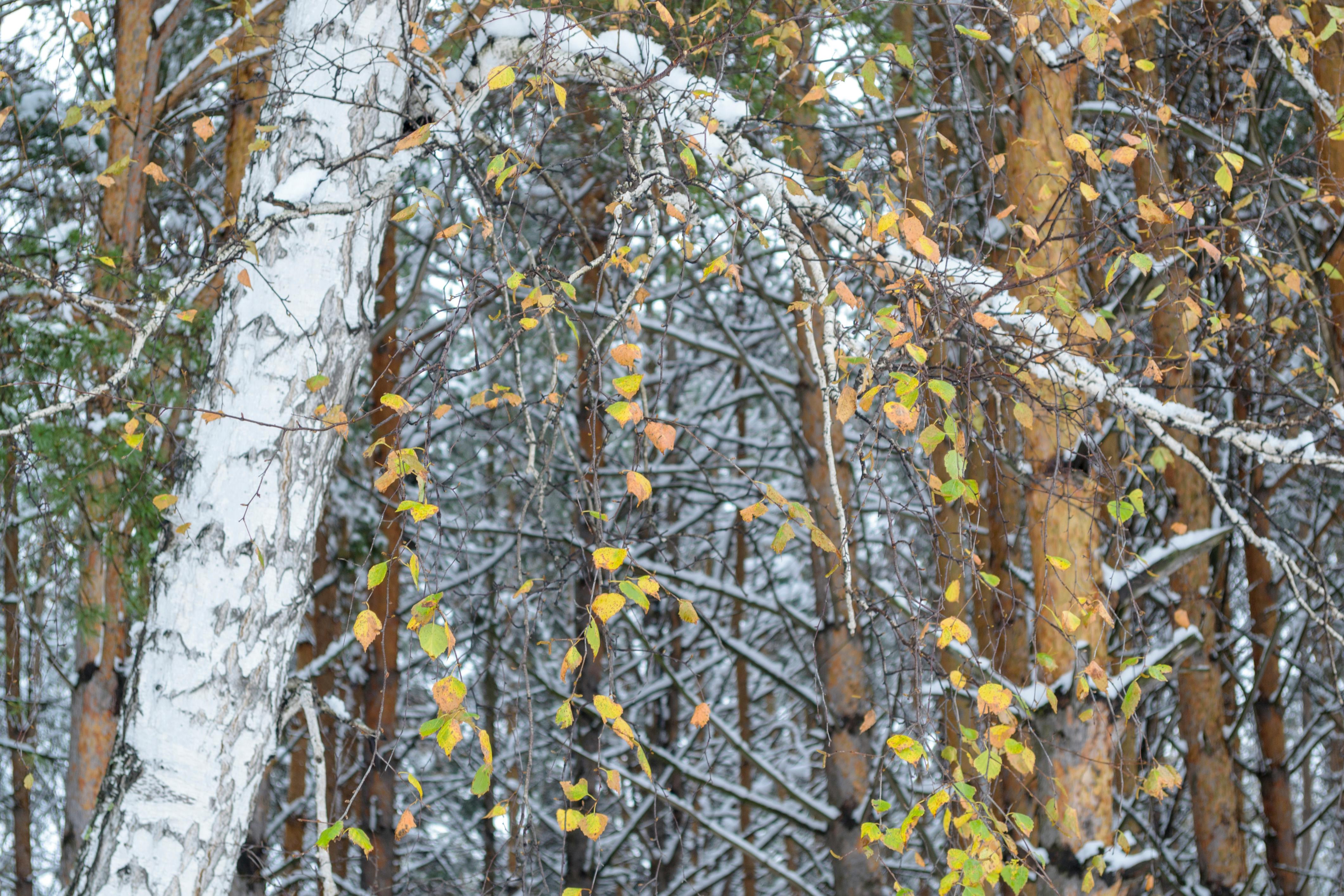 Transition Photos, Download The BEST Free Transition Stock Photos & HD ...