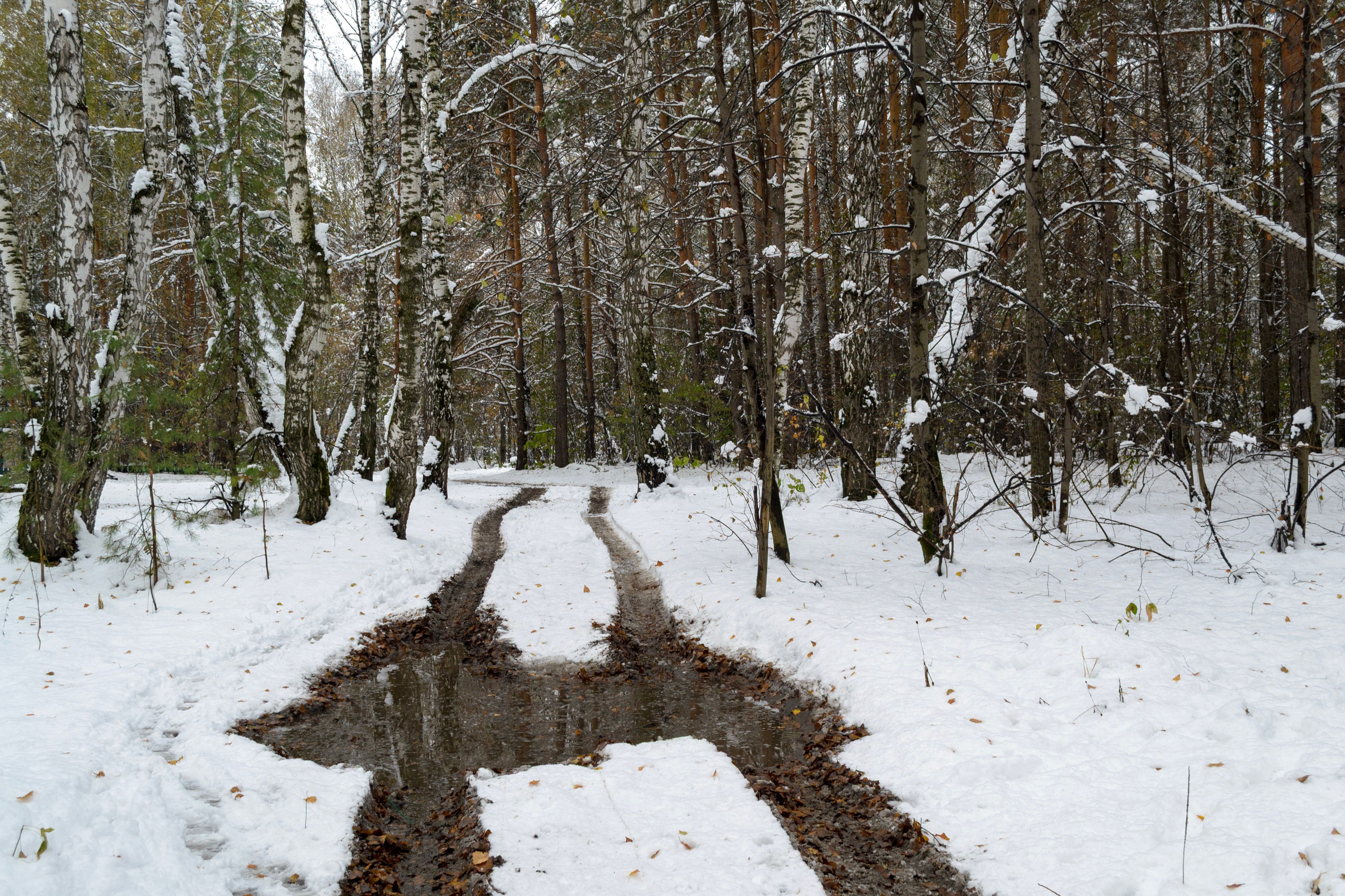 Ice Pathway Photos, Download The BEST Free Ice Pathway Stock Photos ...