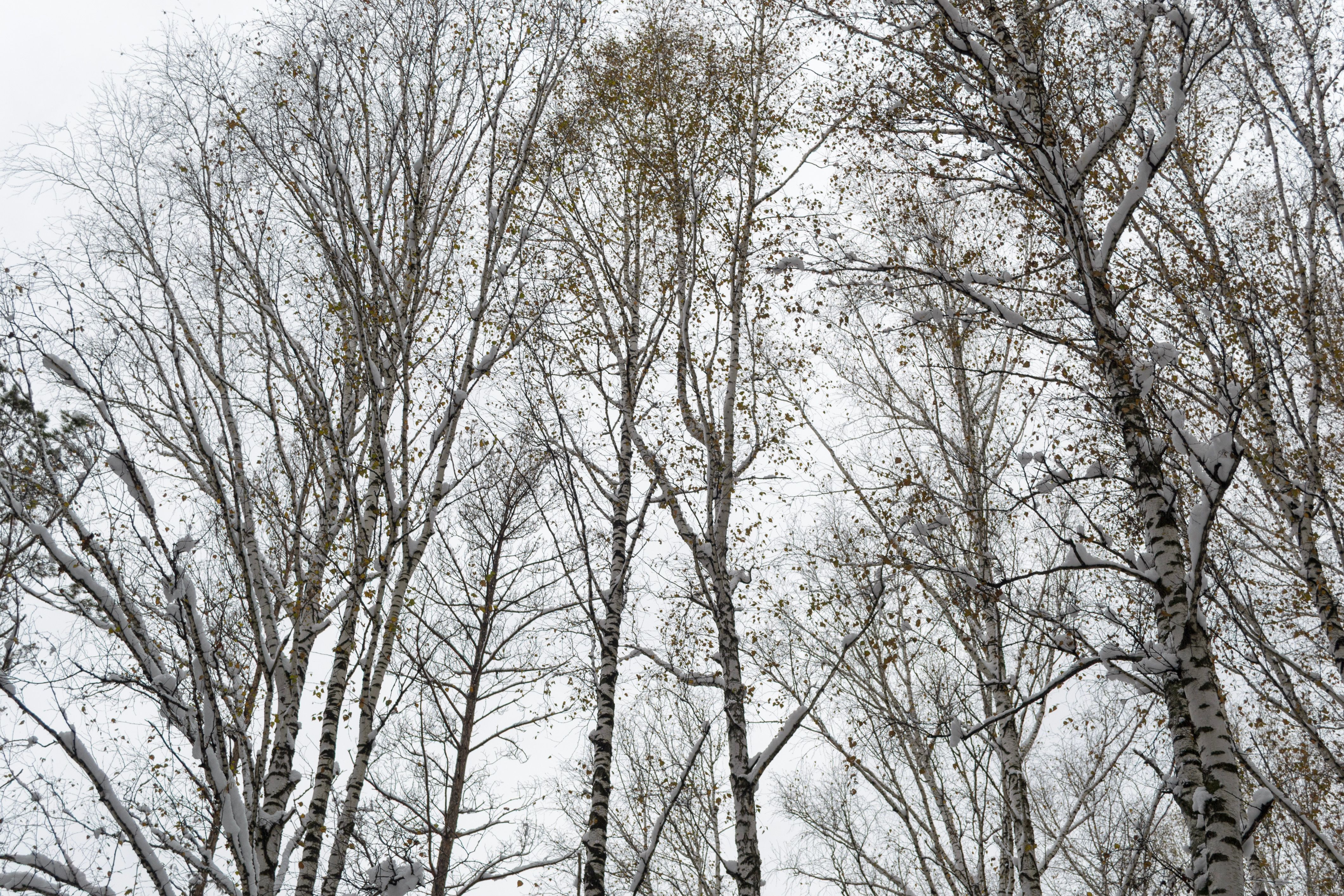 Scenery Chill Photos, Download The BEST Free Scenery Chill Stock Photos ...