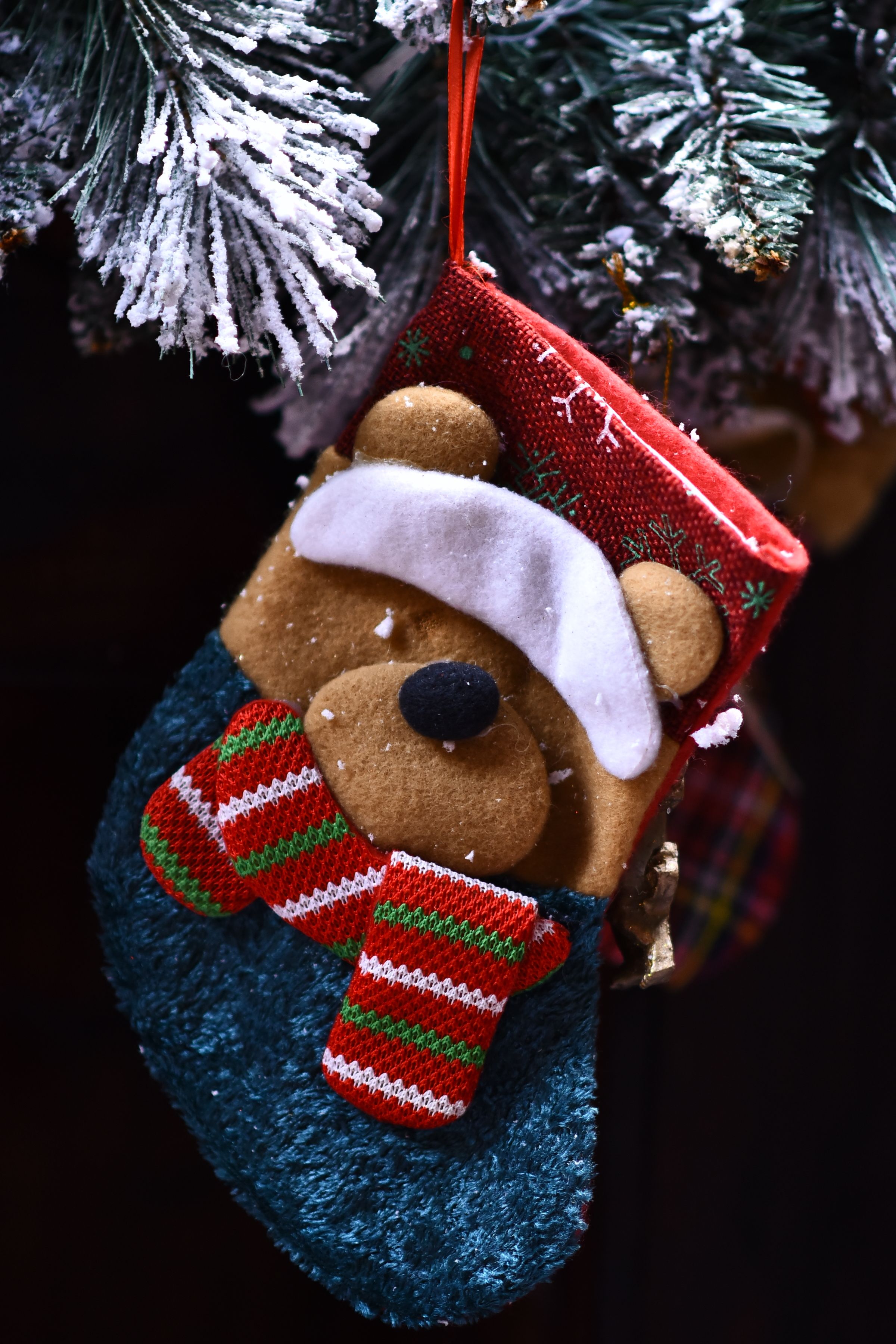Festive Teddy Bear Christmas Stocking Decor · Free Stock Photo