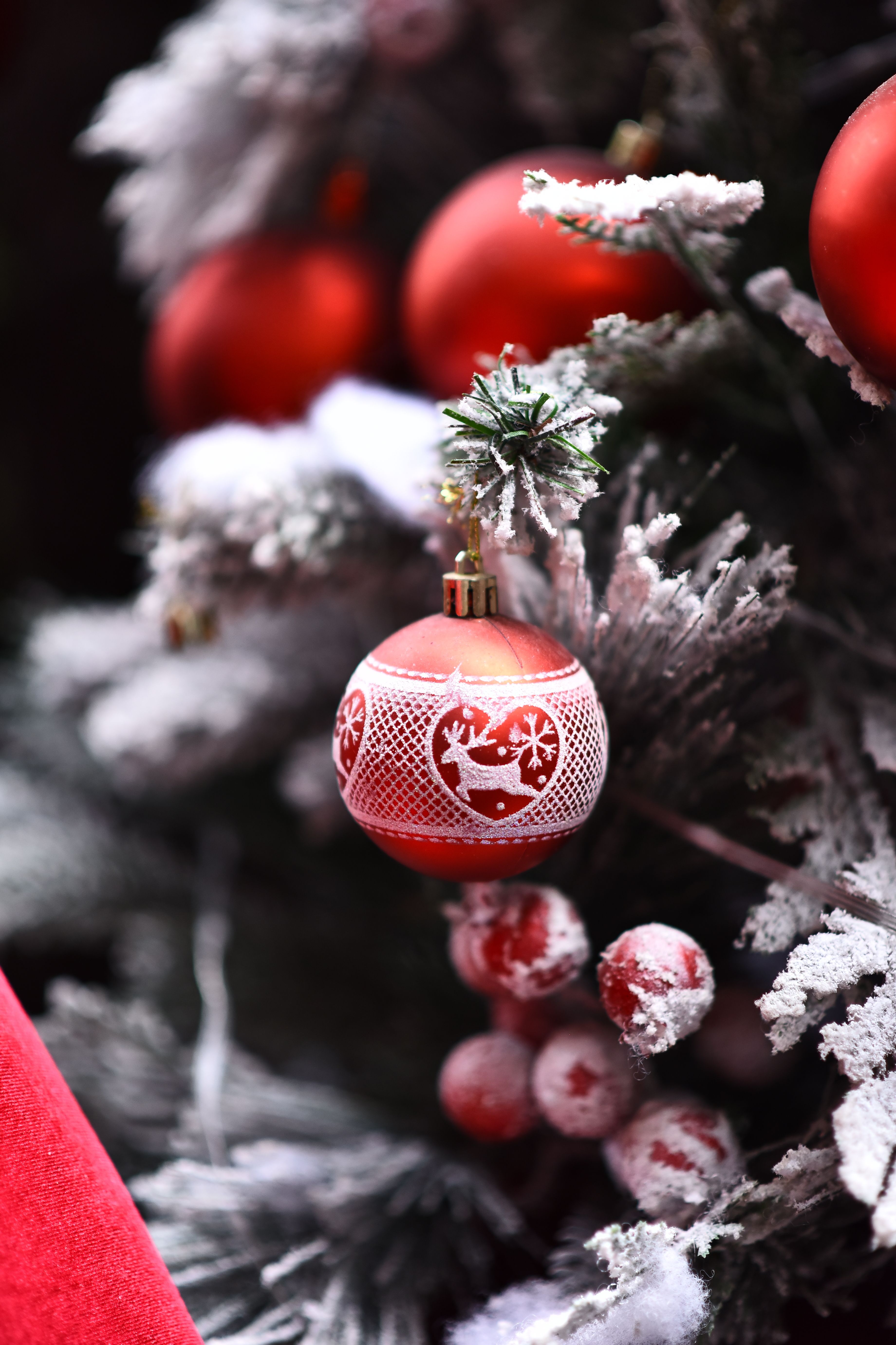 Festive Red Christmas Ornament on Snowy Tree · Free Stock Photo