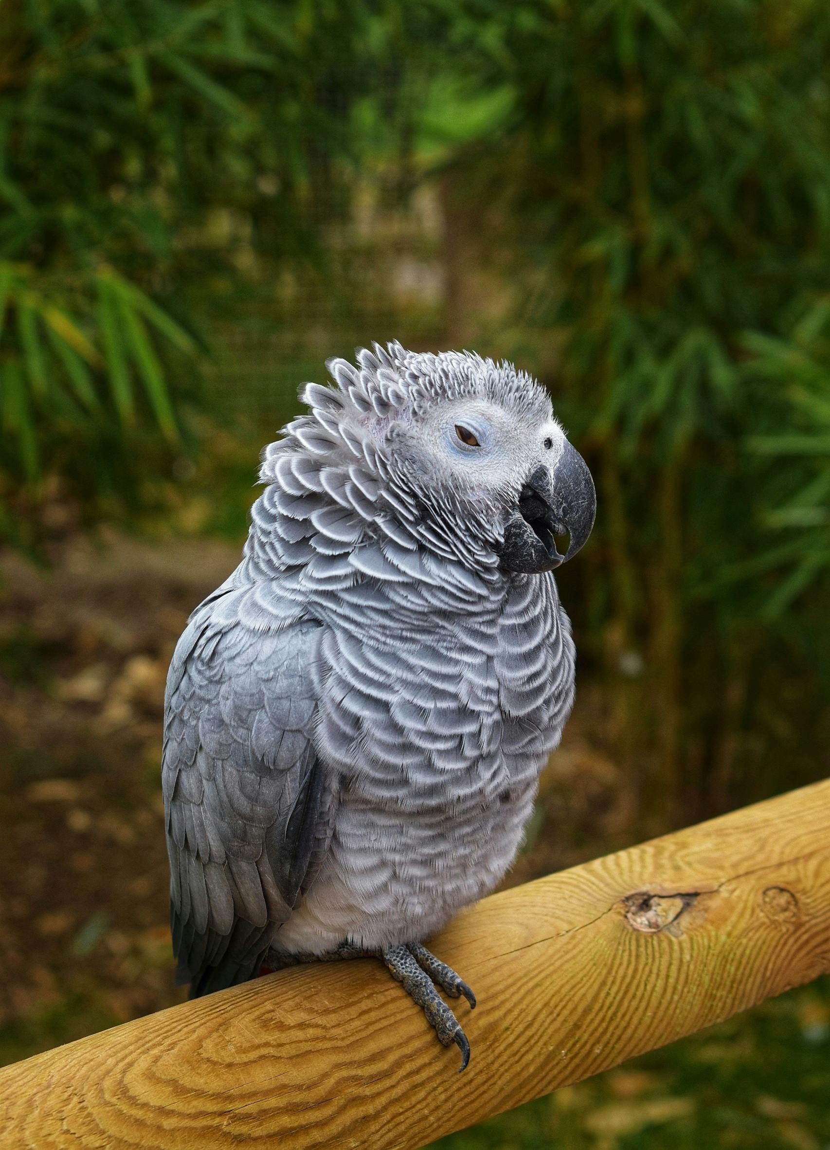 Karlee Grey Photos, Download The BEST Free Karlee Grey Stock Photos ...