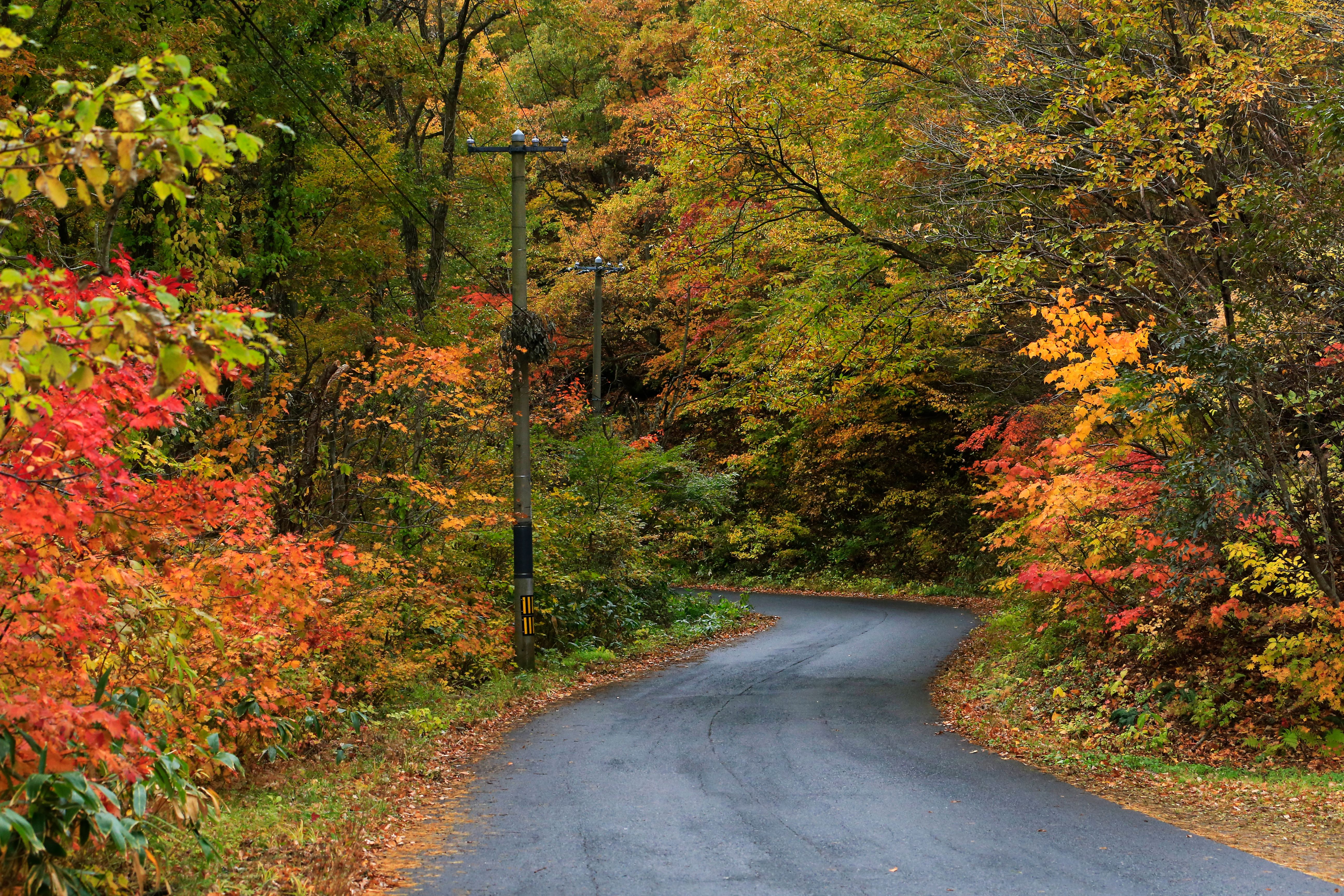 Autumn Fall Landscape Photos, Download The BEST Free Autumn Fall ...
