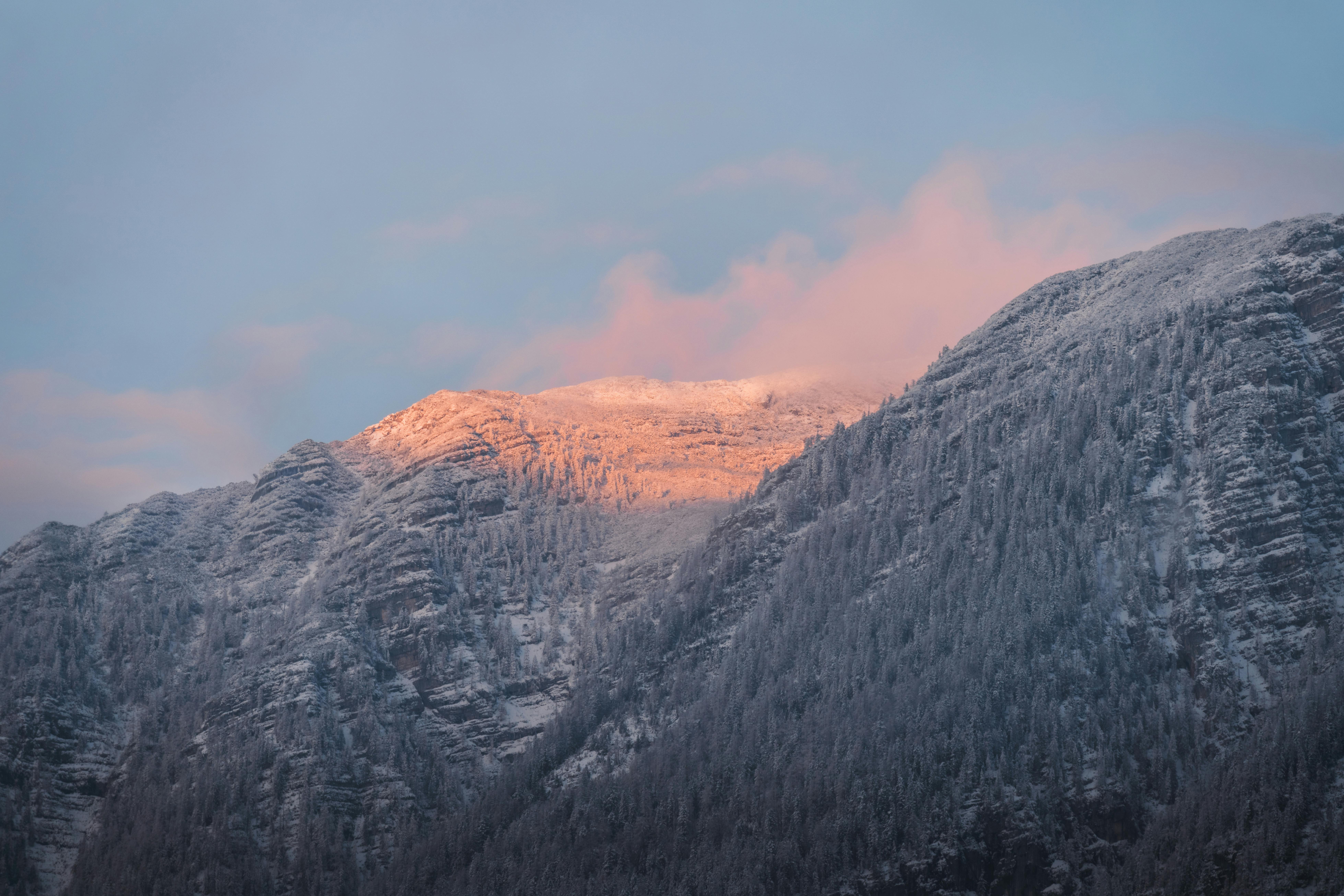 Unsplash, Pexels, Or Pixabay Photos, Download The BEST Free Unsplash ...