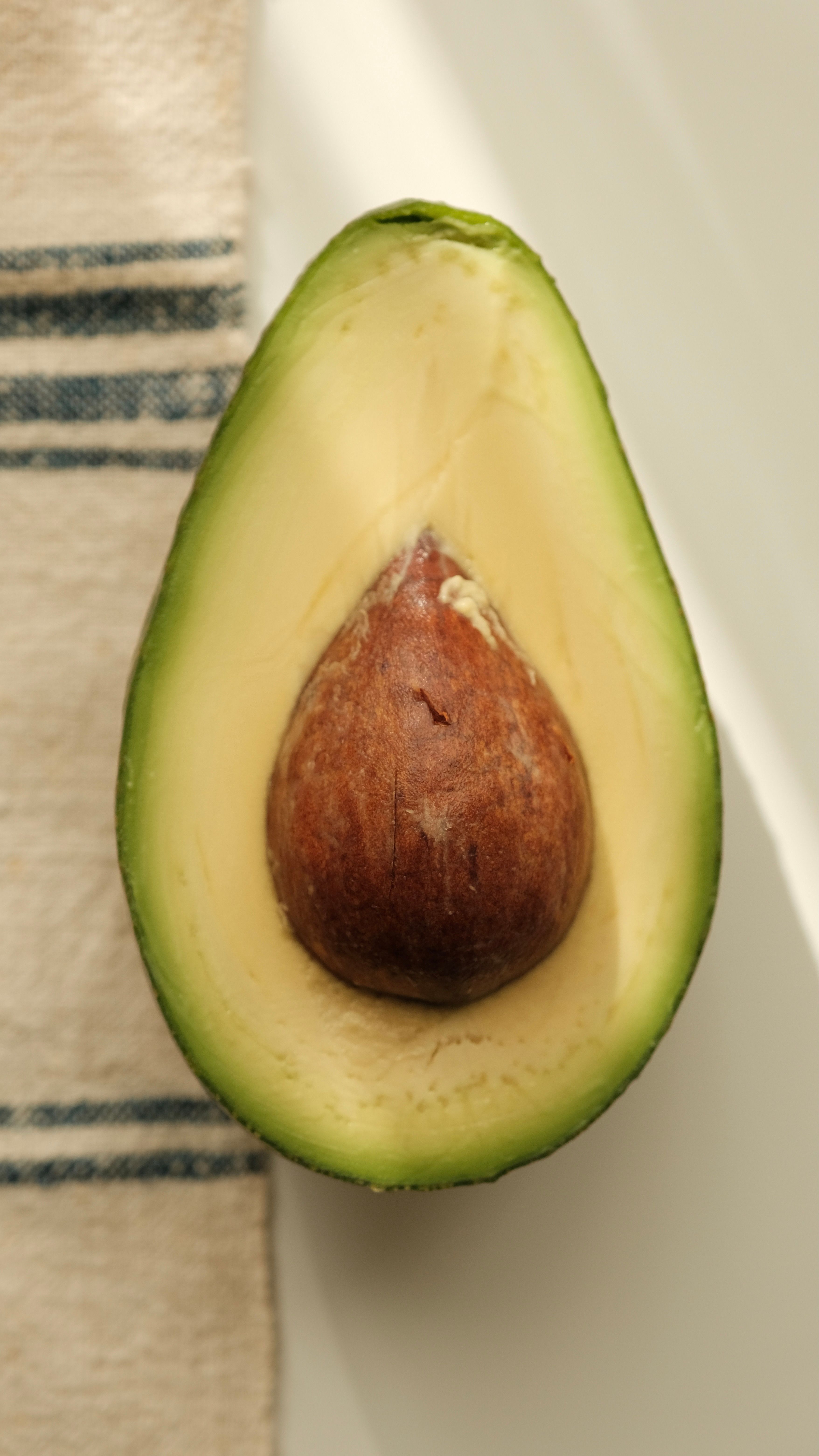 Cute Avocados Photos, Download The BEST Free Cute Avocados Stock Photos ...
