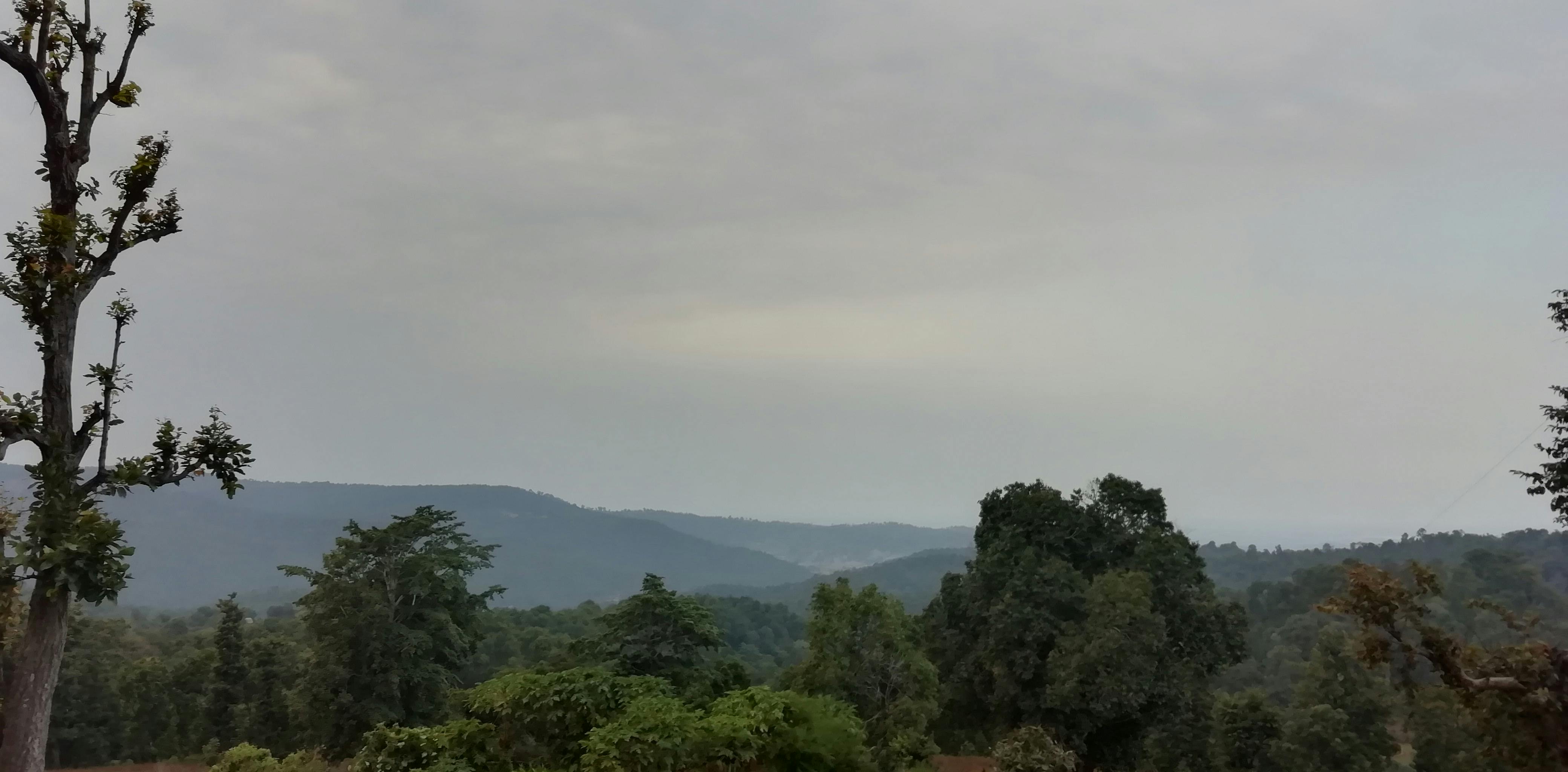 Nature 1 Photos & Videos Collected by Rohit Dewangan