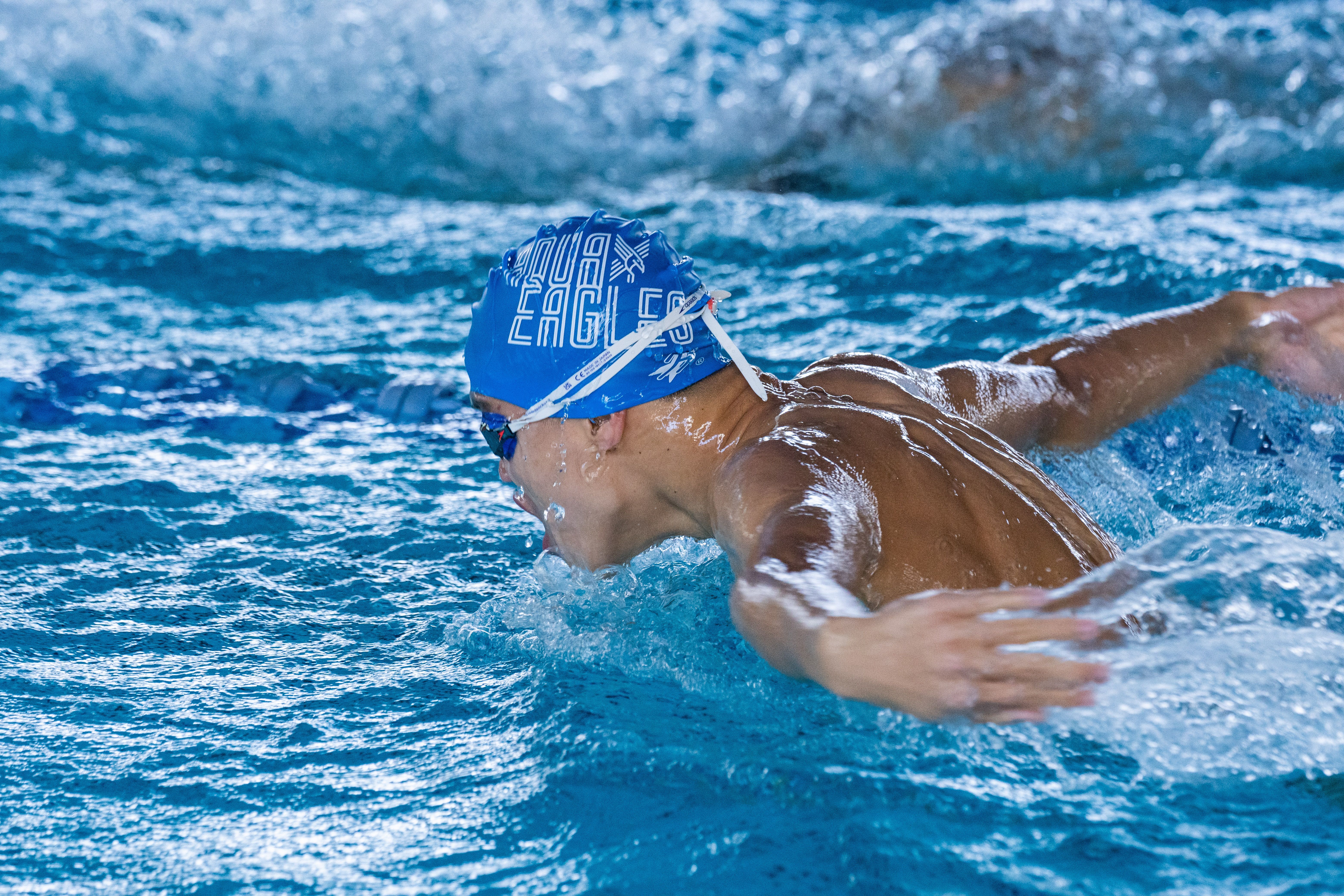Swim Photos, Download The BEST Free Swim Stock Photos & HD Images