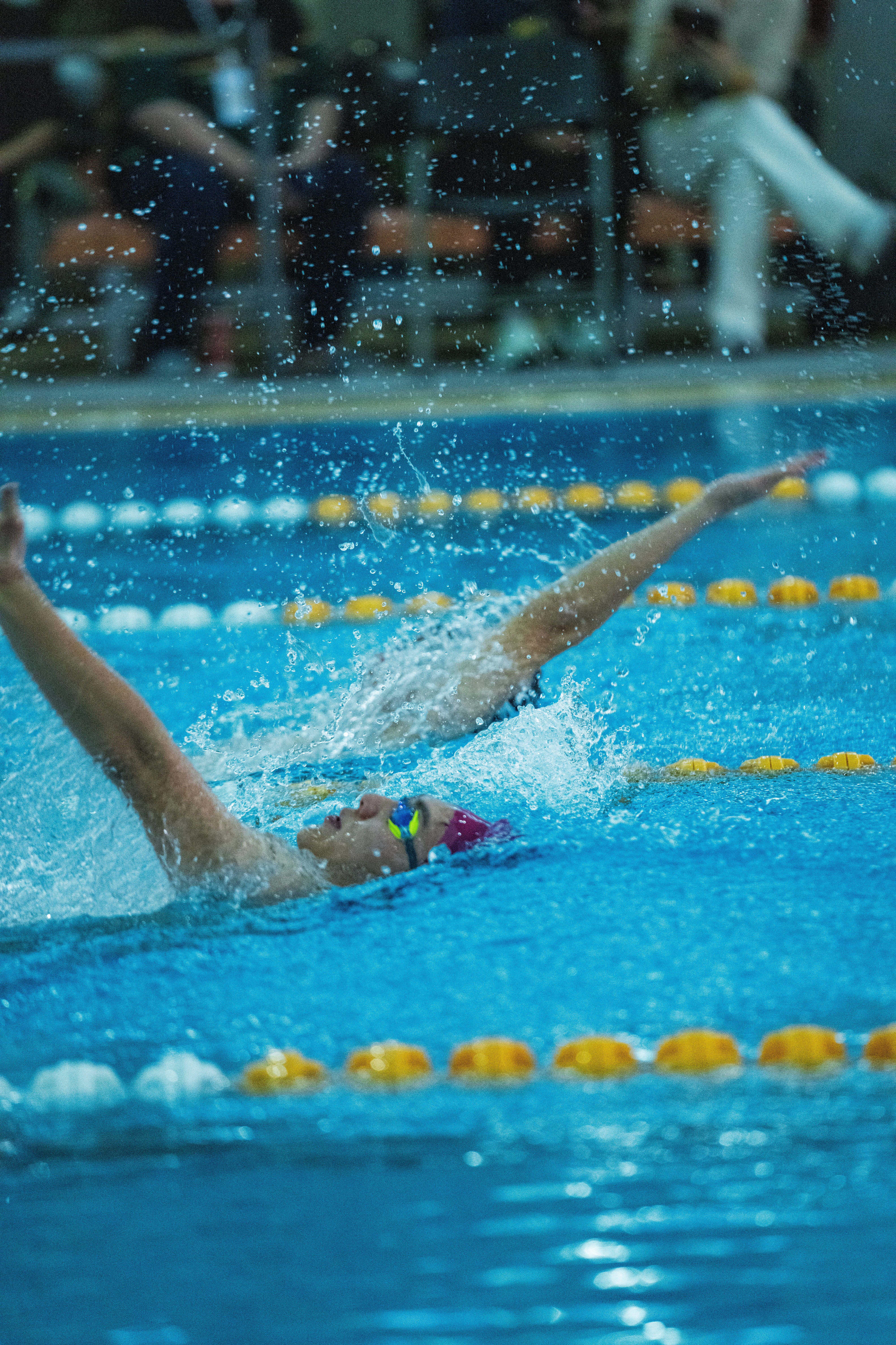 Swimmers Competing in Indoor Pool Race · Free Stock Photo