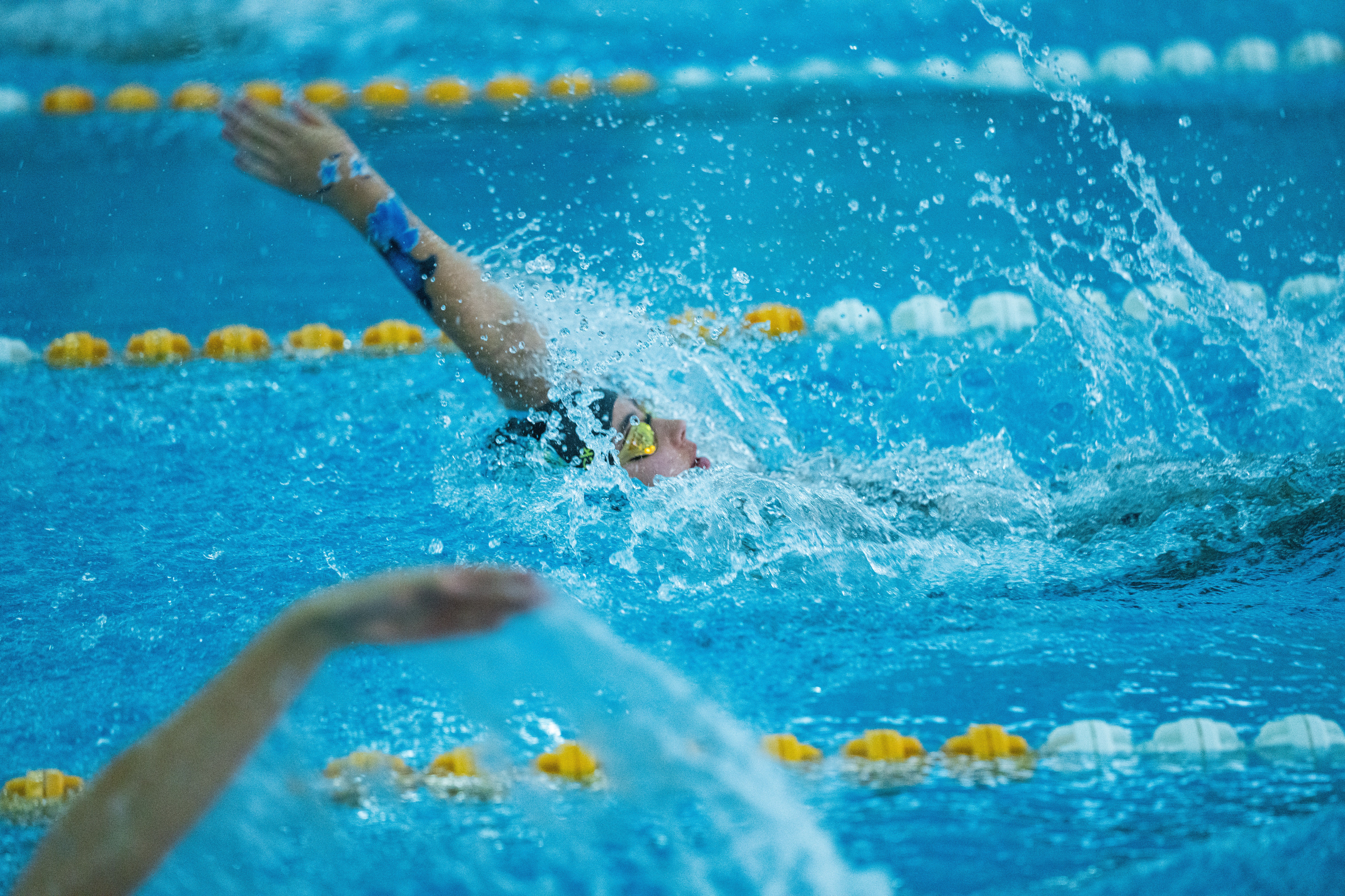 Dynamic Backstroke Swimming Action in Pool · Free Stock Photo
