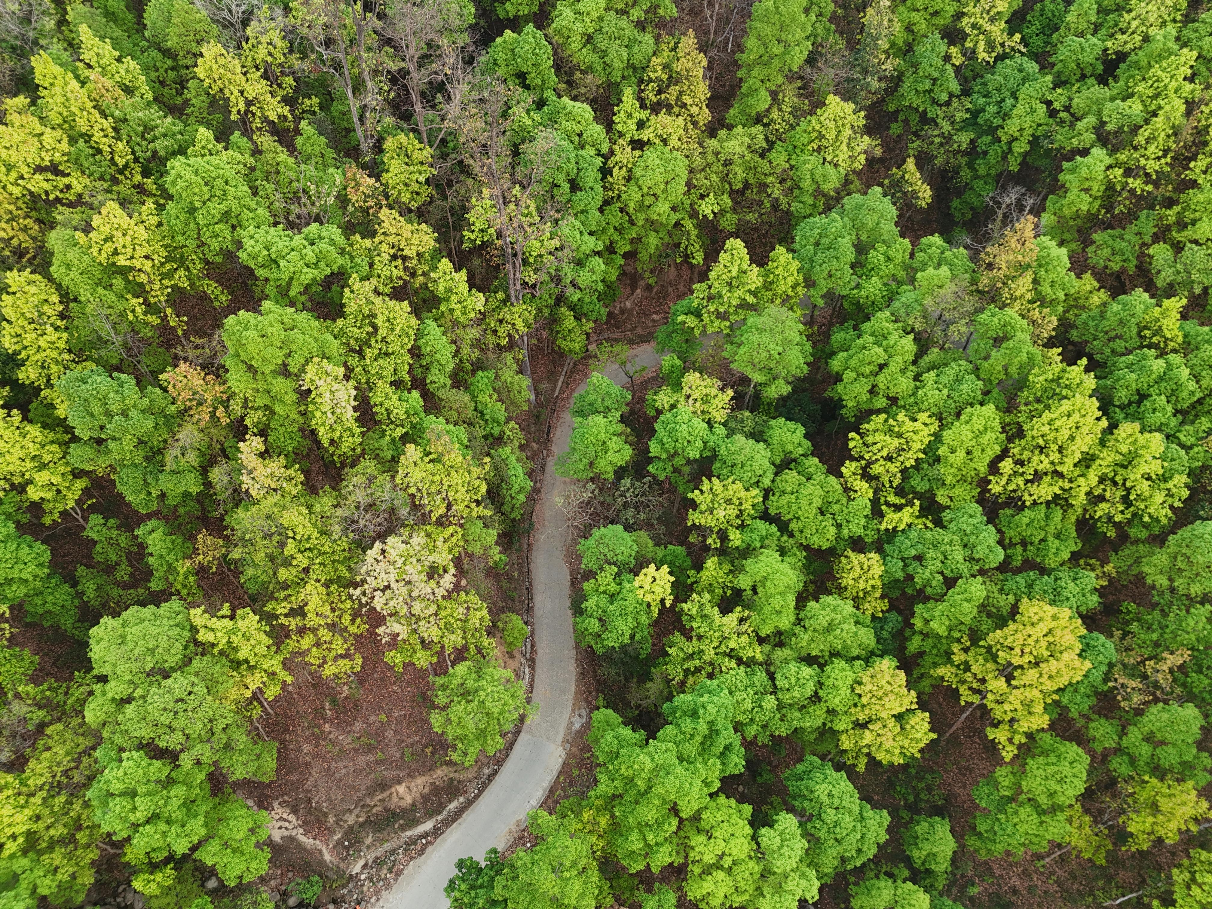 3+Im Photos, Download The BEST Free 3+Im Stock Photos & HD Images