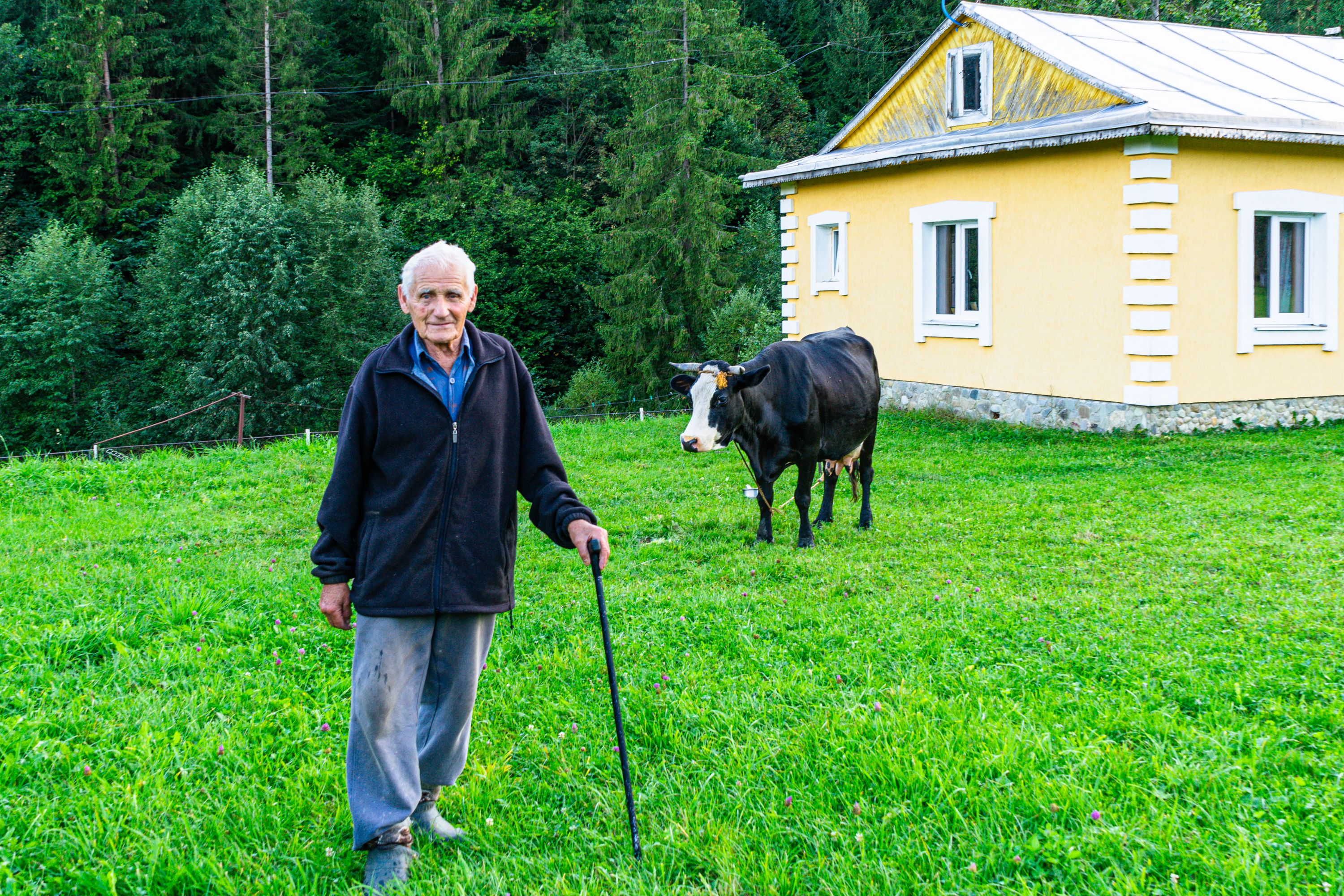Ww2 192.168.1.100 Cow Photos, Download The BEST Free Ww2 192.168.1.100 ...