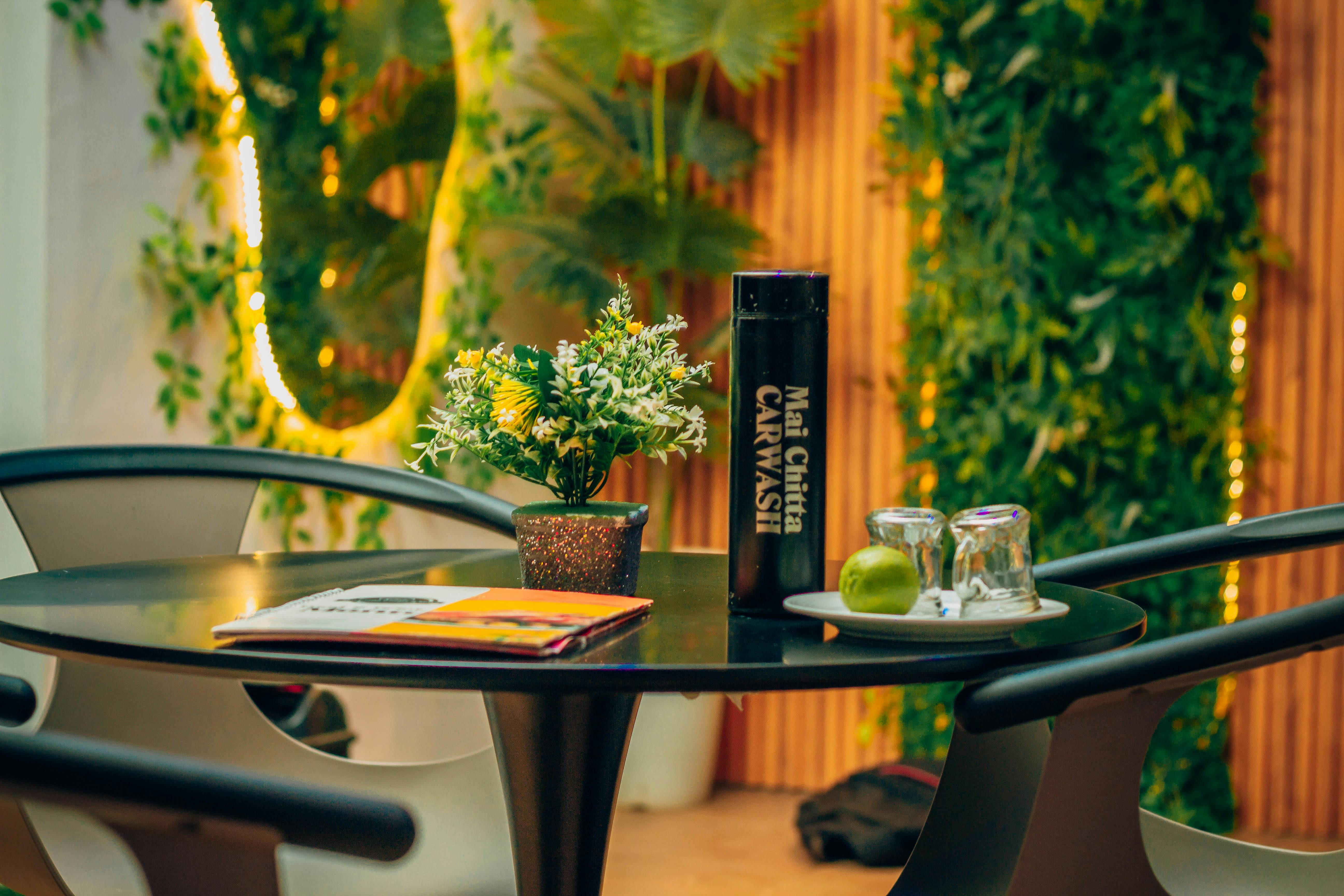 January Vibes Photos, Download The BEST Free January Vibes Stock Photos ...