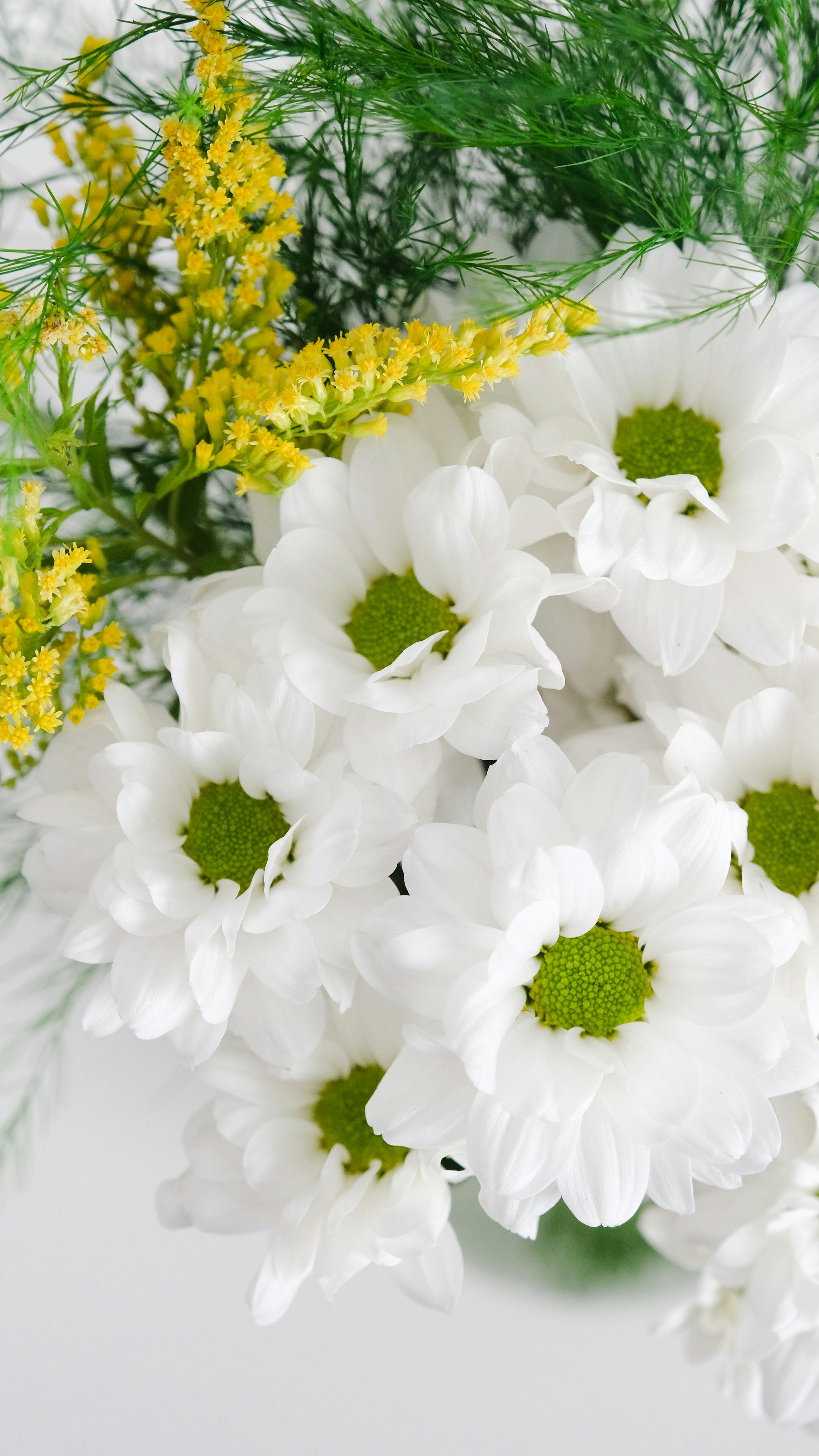 Background Tuff Photos, Download The BEST Free Background Tuff Stock ...