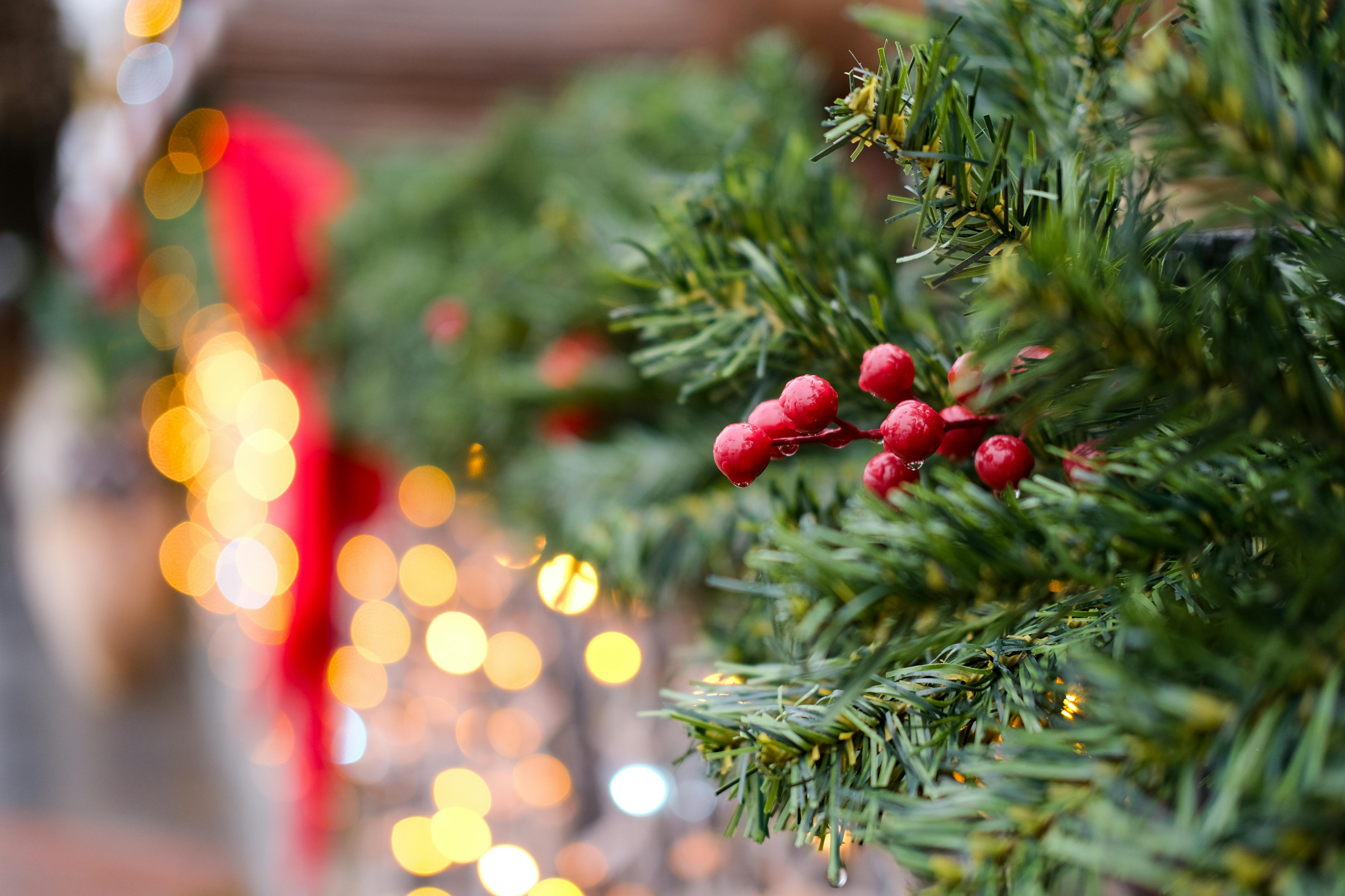 Merry Christmas Email Signature Banner Photos, Download The BEST Free ...