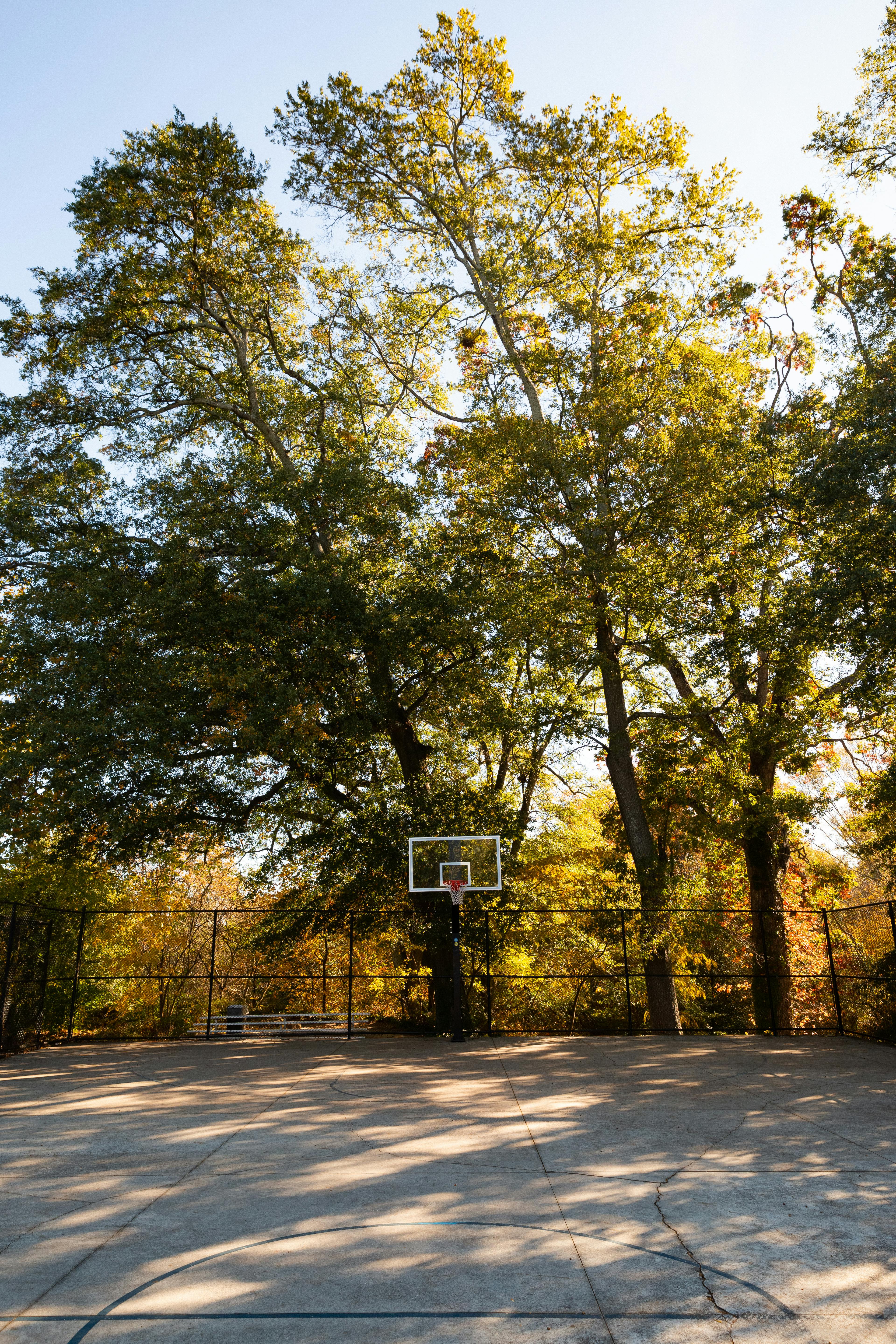 Basketball Images Photos, Download The BEST Free Basketball Images ...