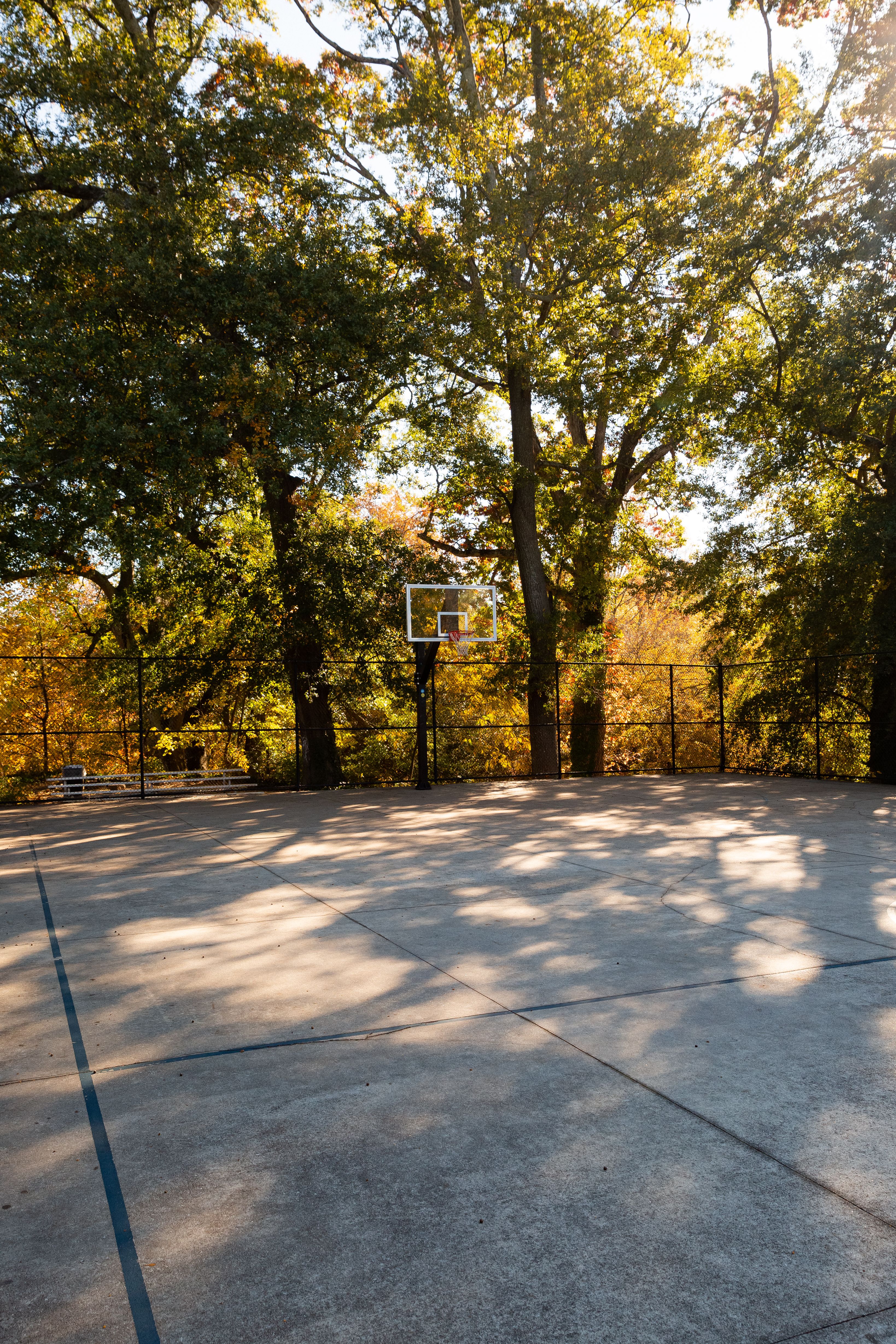 Sunny Outdoor Basketball Court in Atlanta Park · Free Stock Photo