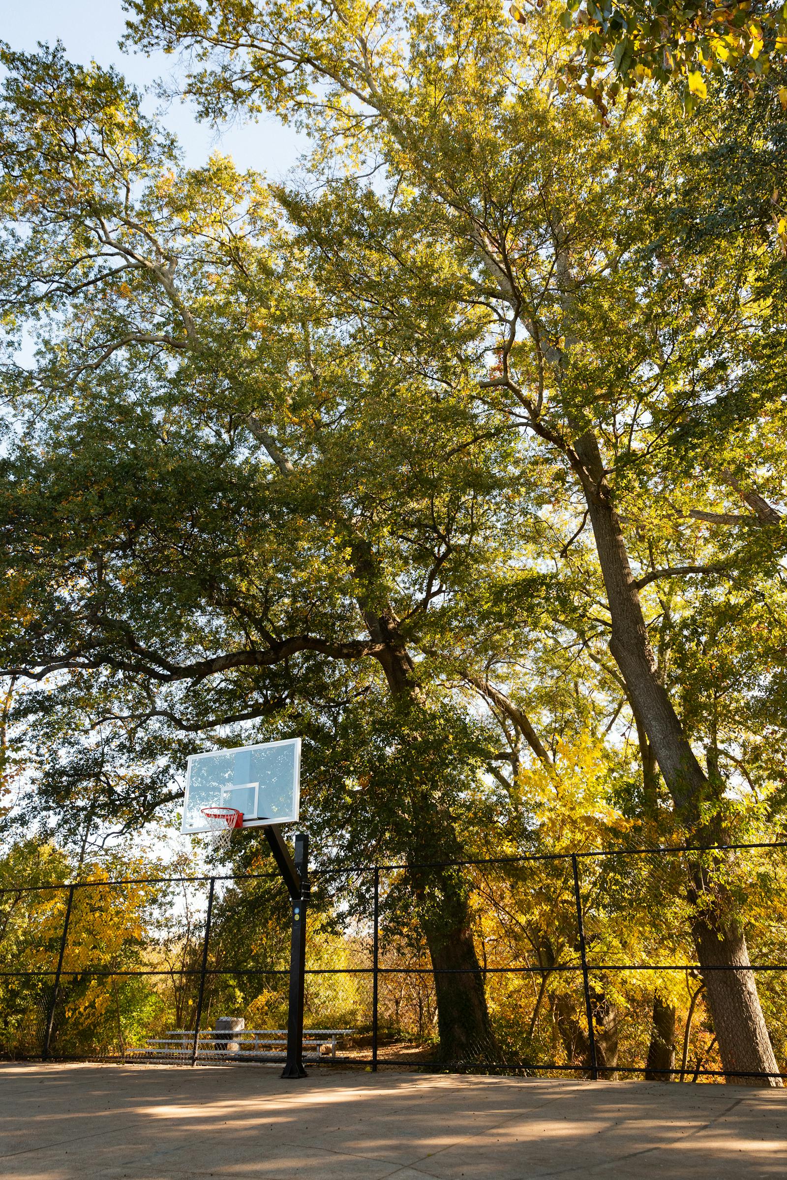 Basketball Images Photos, Download The BEST Free Basketball Images ...