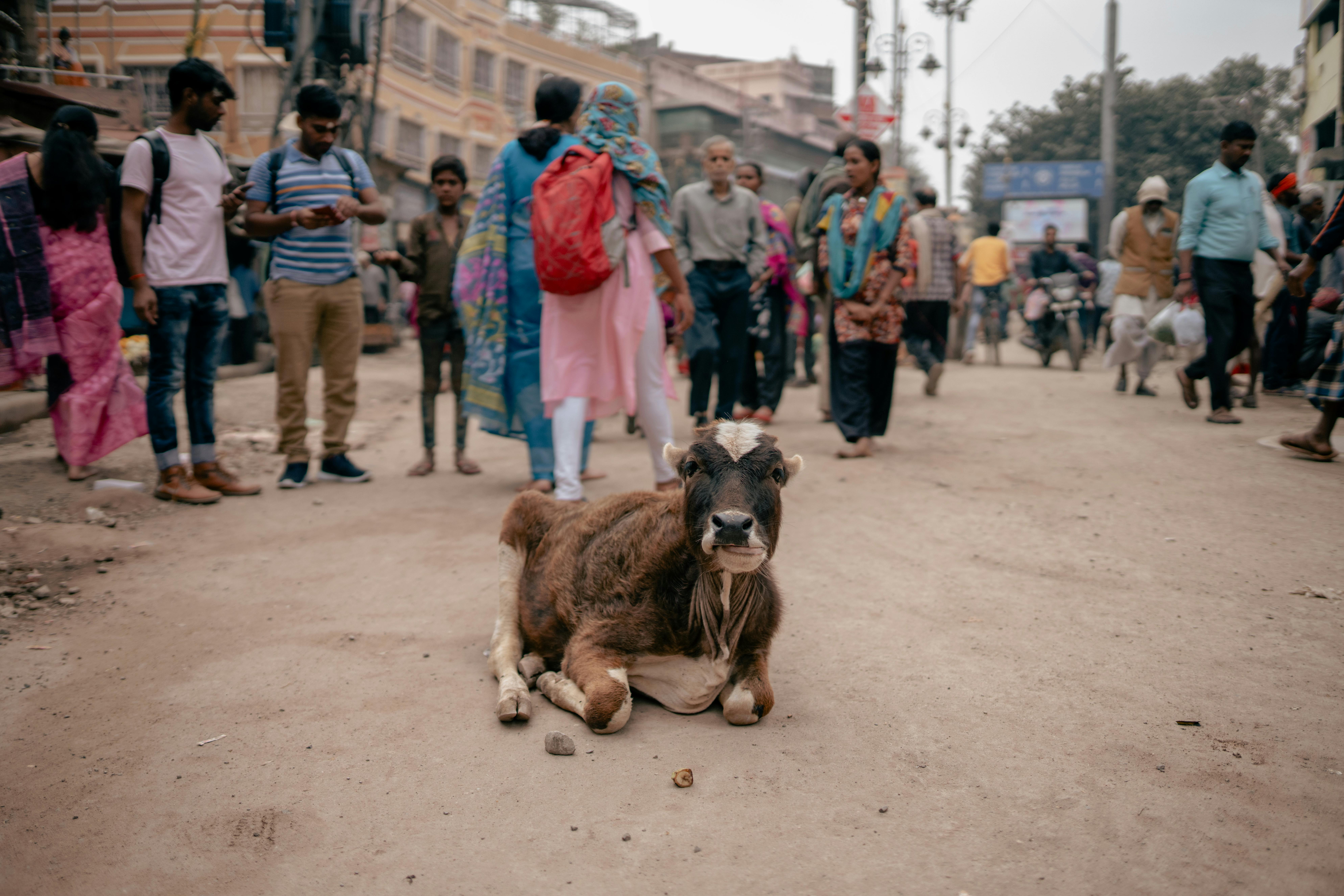 Dhanyavad In Hindi Photos, Download The BEST Free Dhanyavad In Hindi ...