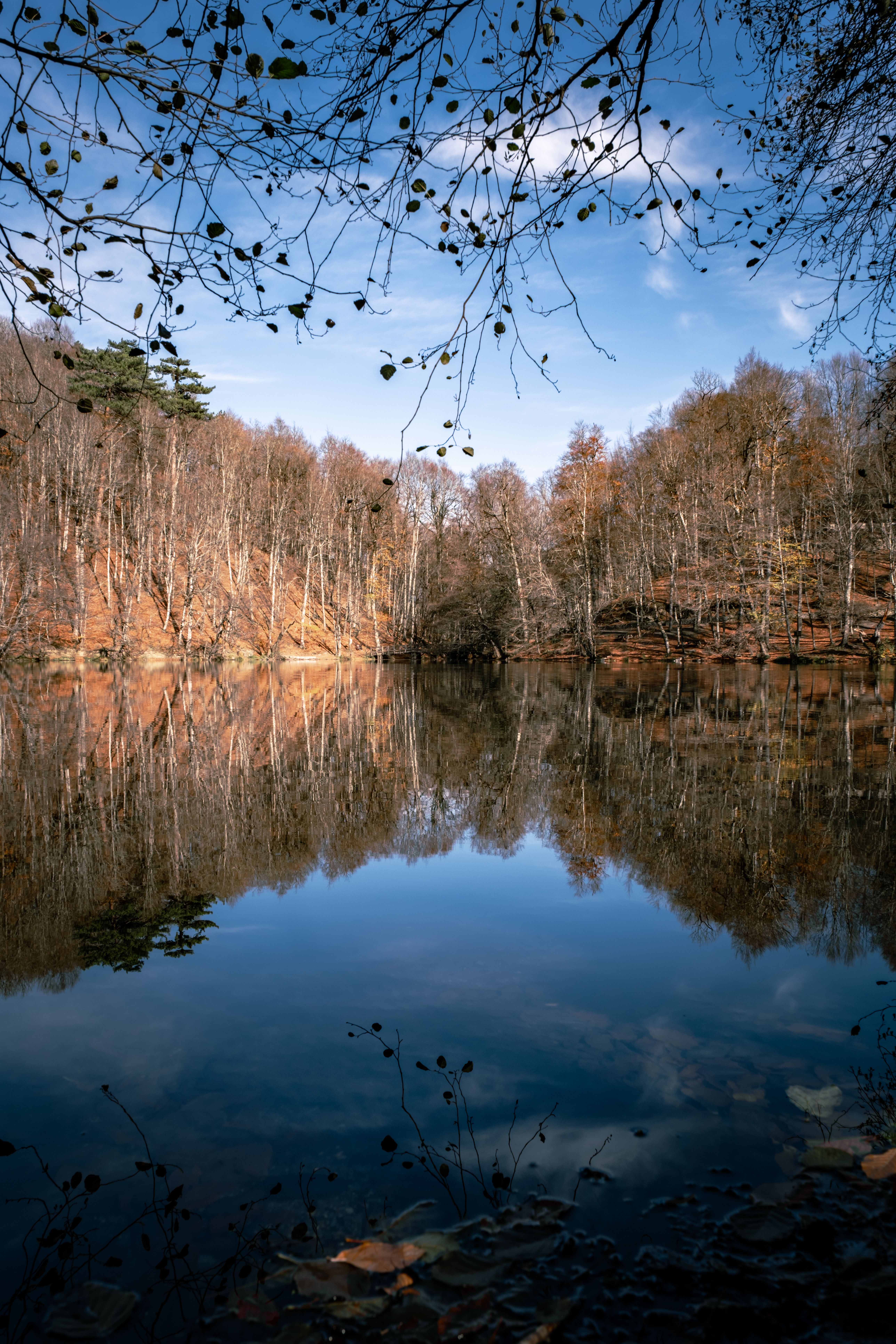 Beautiful Outdoor Photos, Download The BEST Free Beautiful Outdoor ...