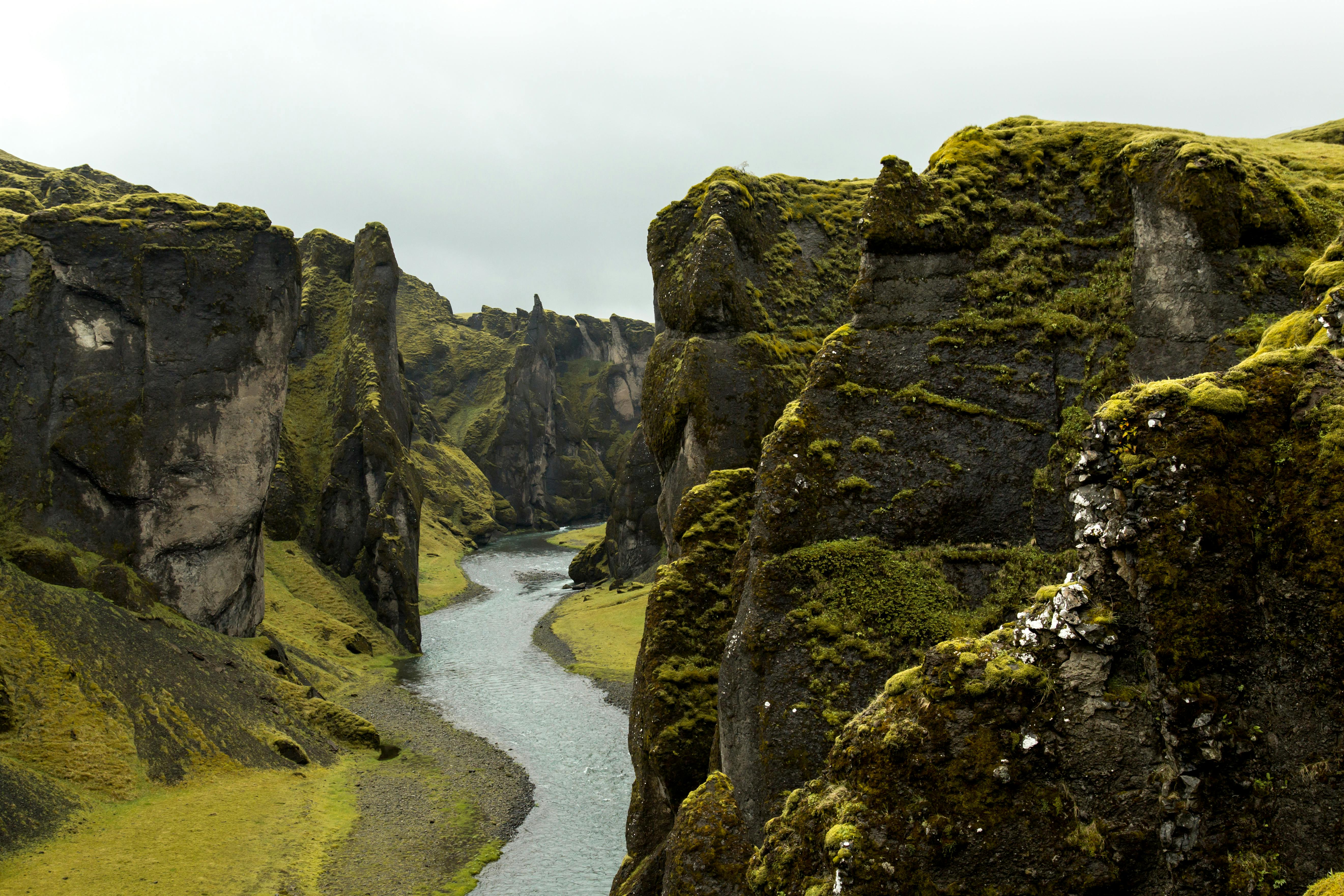 Nature Jpeg Images Photos, Download The BEST Free Nature Jpeg Images ...