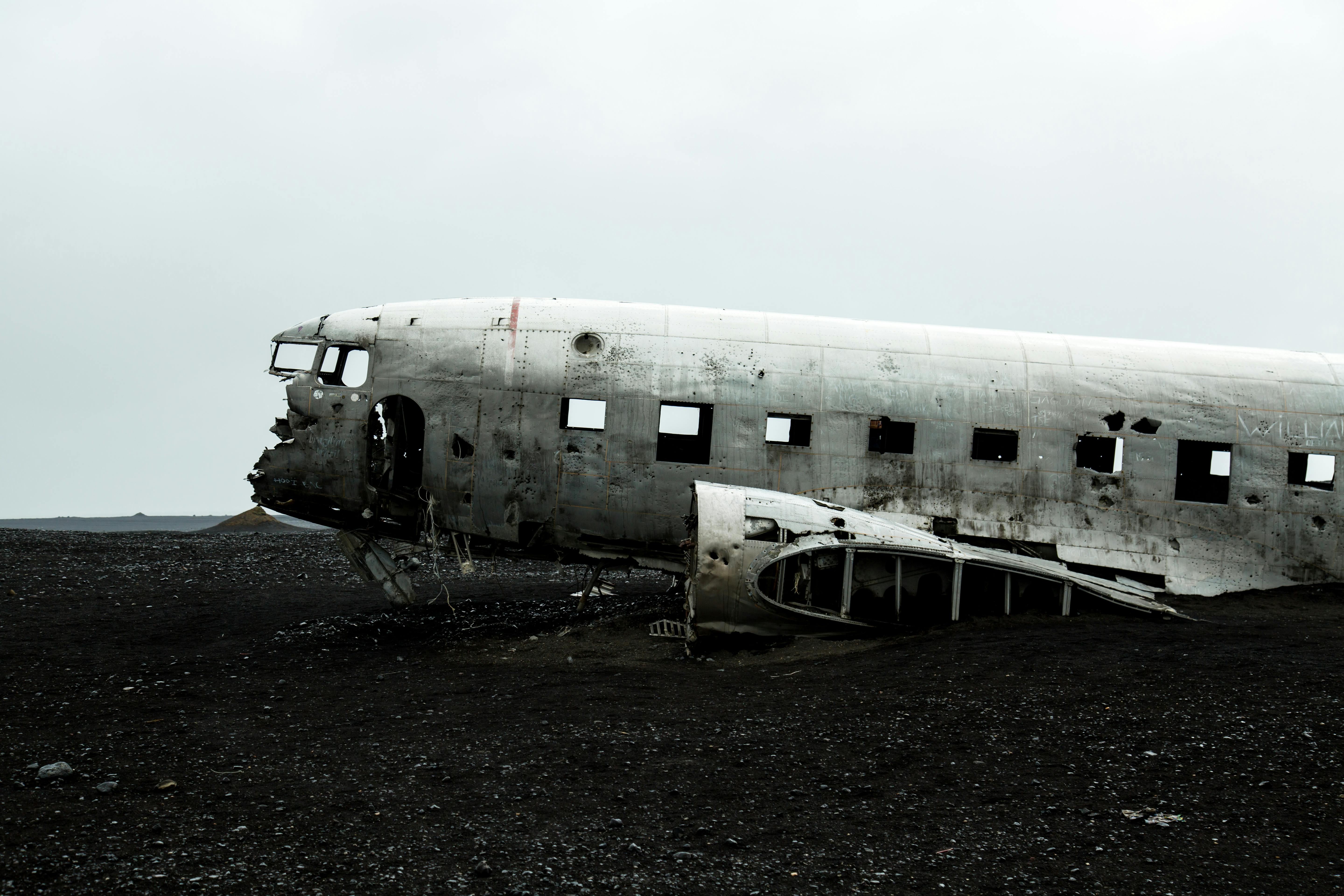 Flickr+Beach+Girls Photos, Download The BEST Free Flickr+Beach+Girls ...