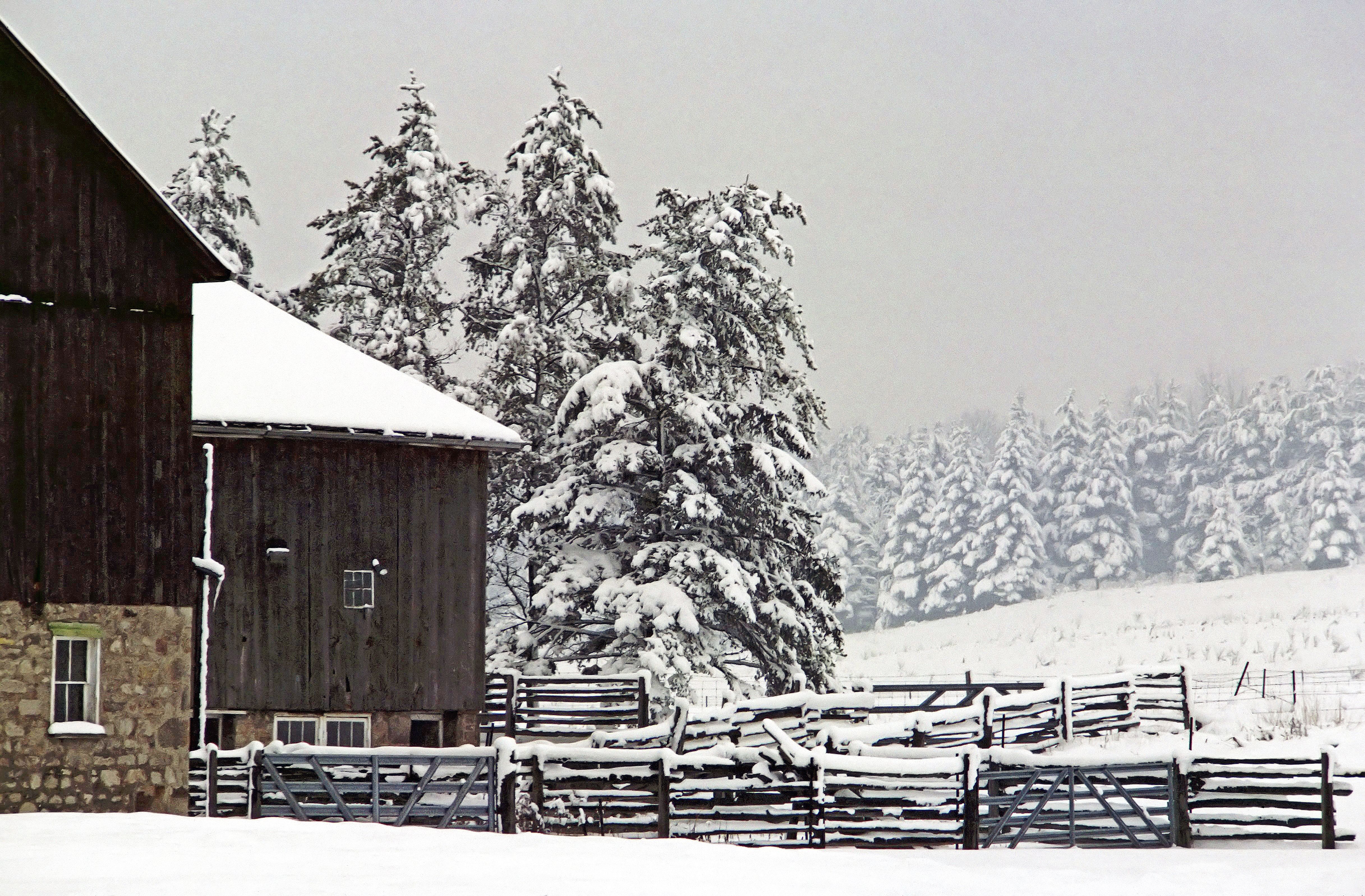 Rustic Farmhouse in Winter Wonderland · Free Stock Photo