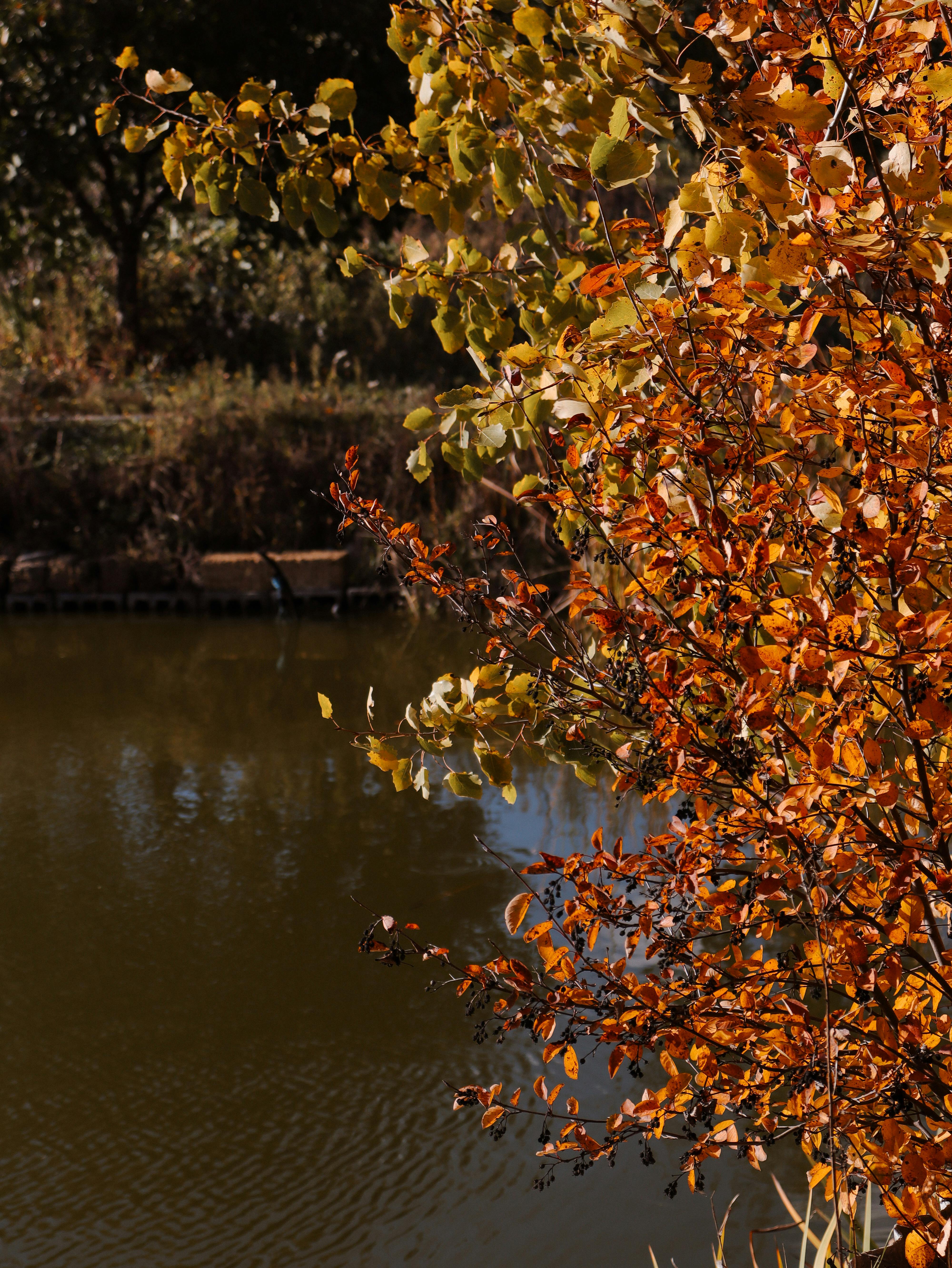 Pamphlet Background Photos, Download The BEST Free Pamphlet Background ...