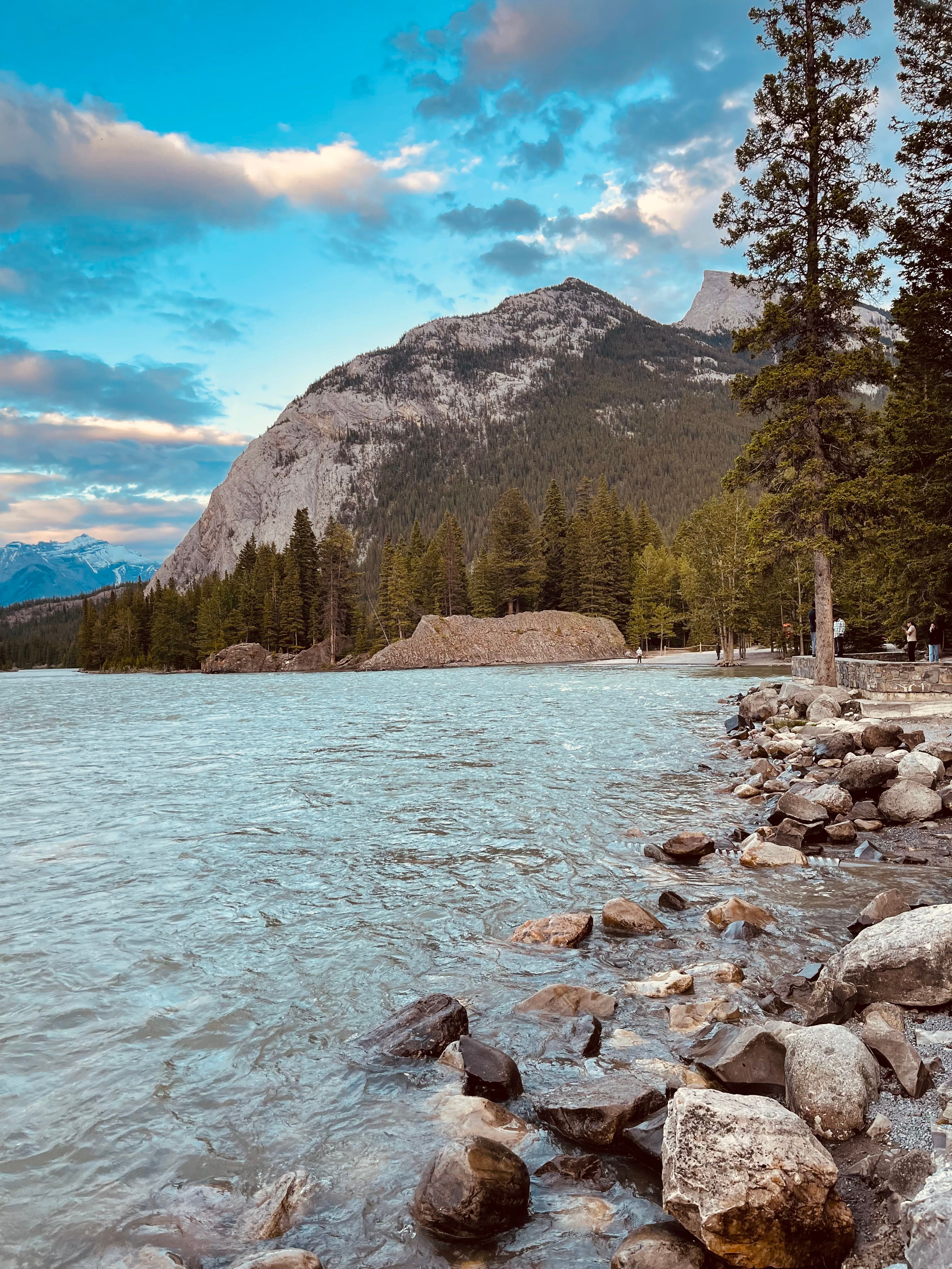 Bow+Bop Photos, Download The BEST Free Bow+Bop Stock Photos & HD Images