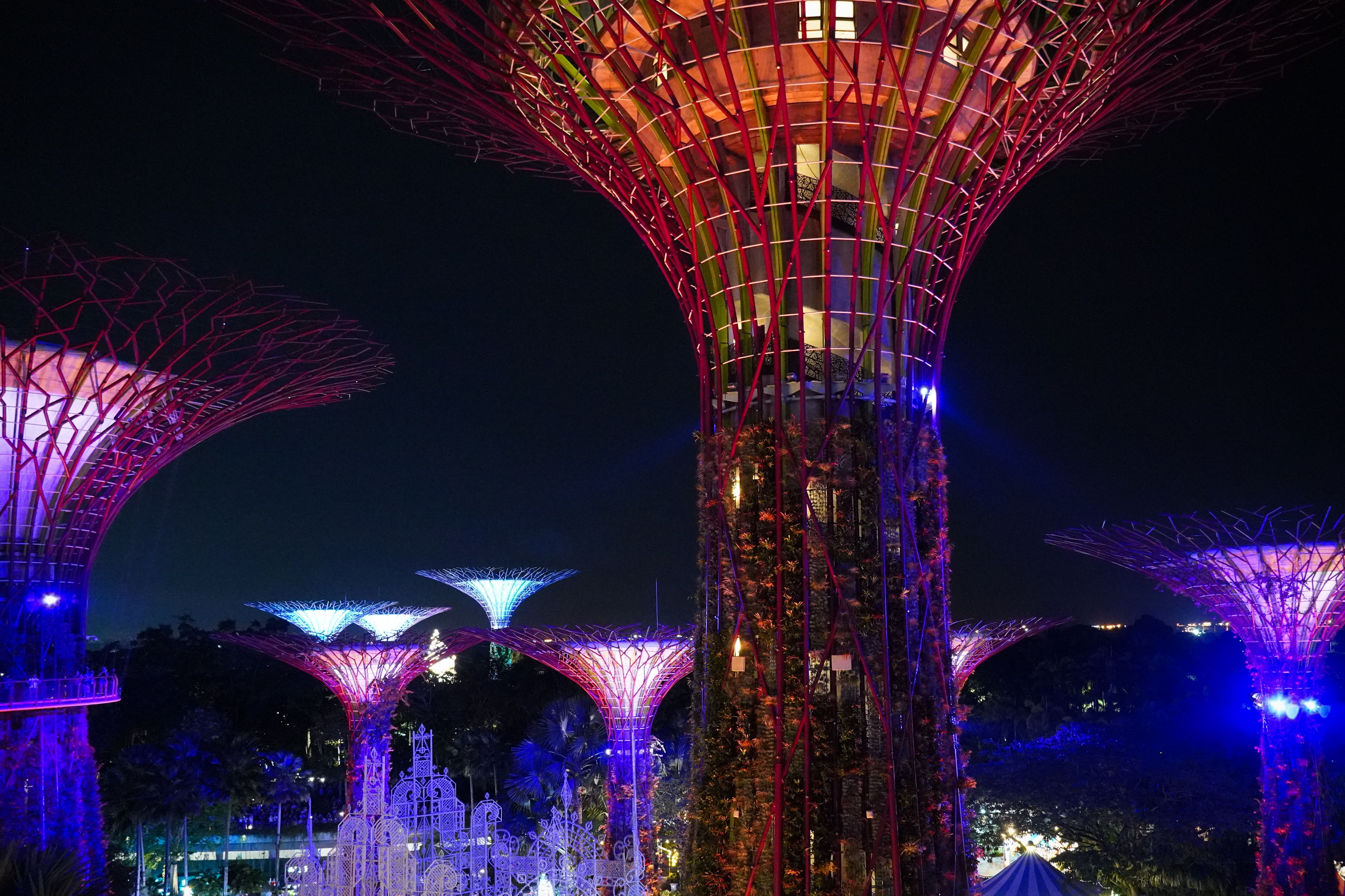 Stunning Singapore Supertree Grove at Night · Free Stock Photo