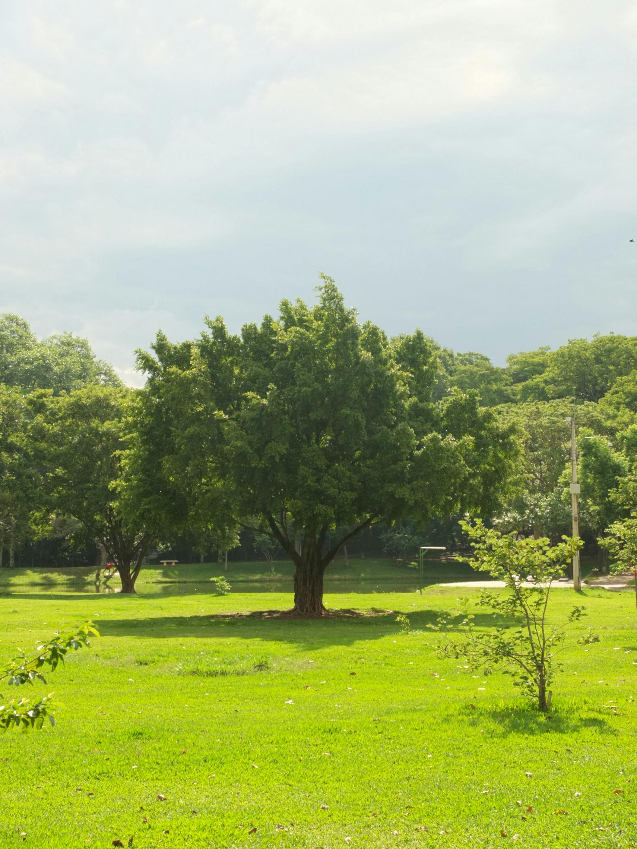 Background Tuff Photos, Download The BEST Free Background Tuff Stock ...