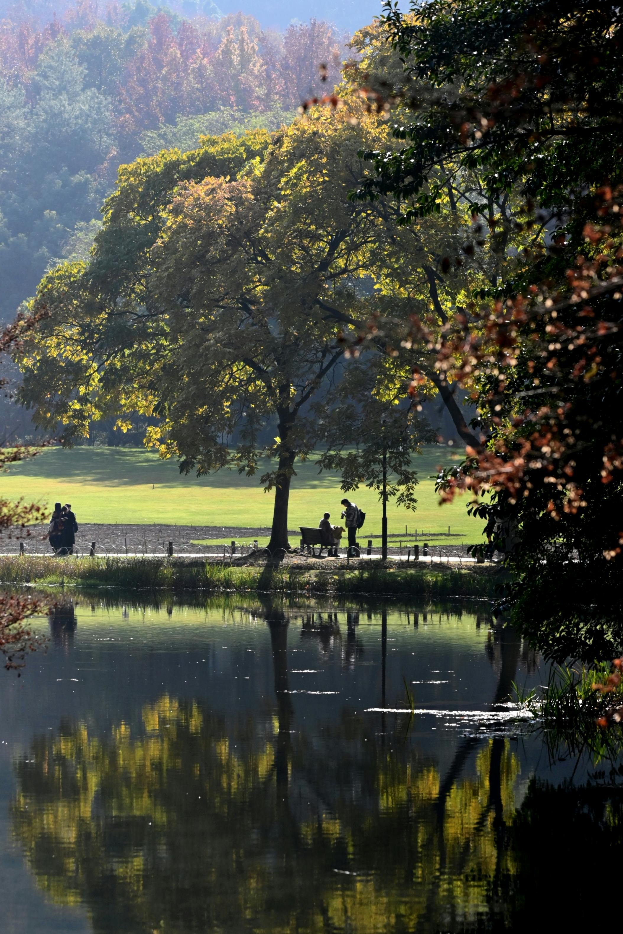 Tahirawan+Sample+Picture Photos, Download The BEST Free Tahirawan ...