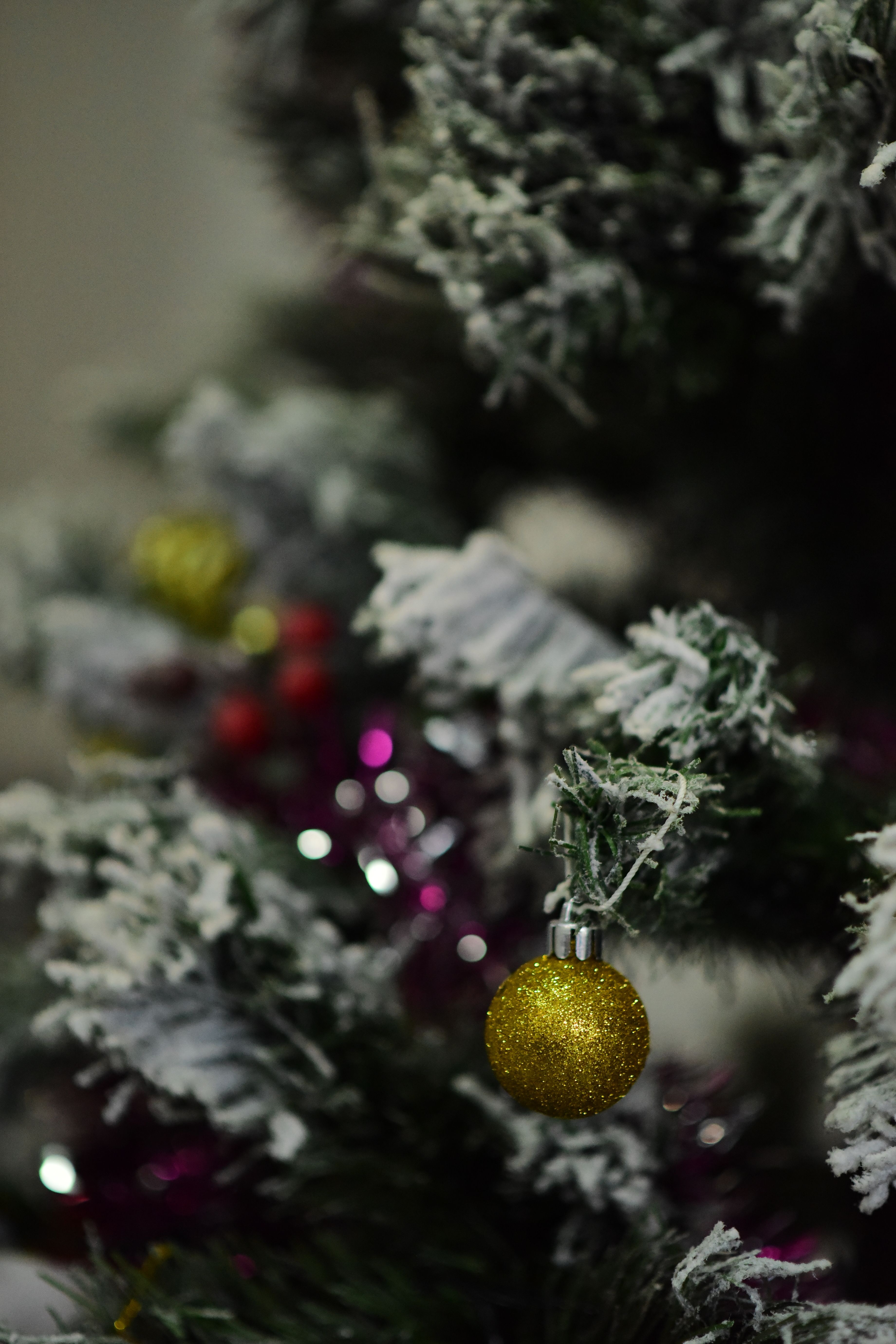 Advent Opposites Photos, Download The BEST Free Advent Opposites Stock ...
