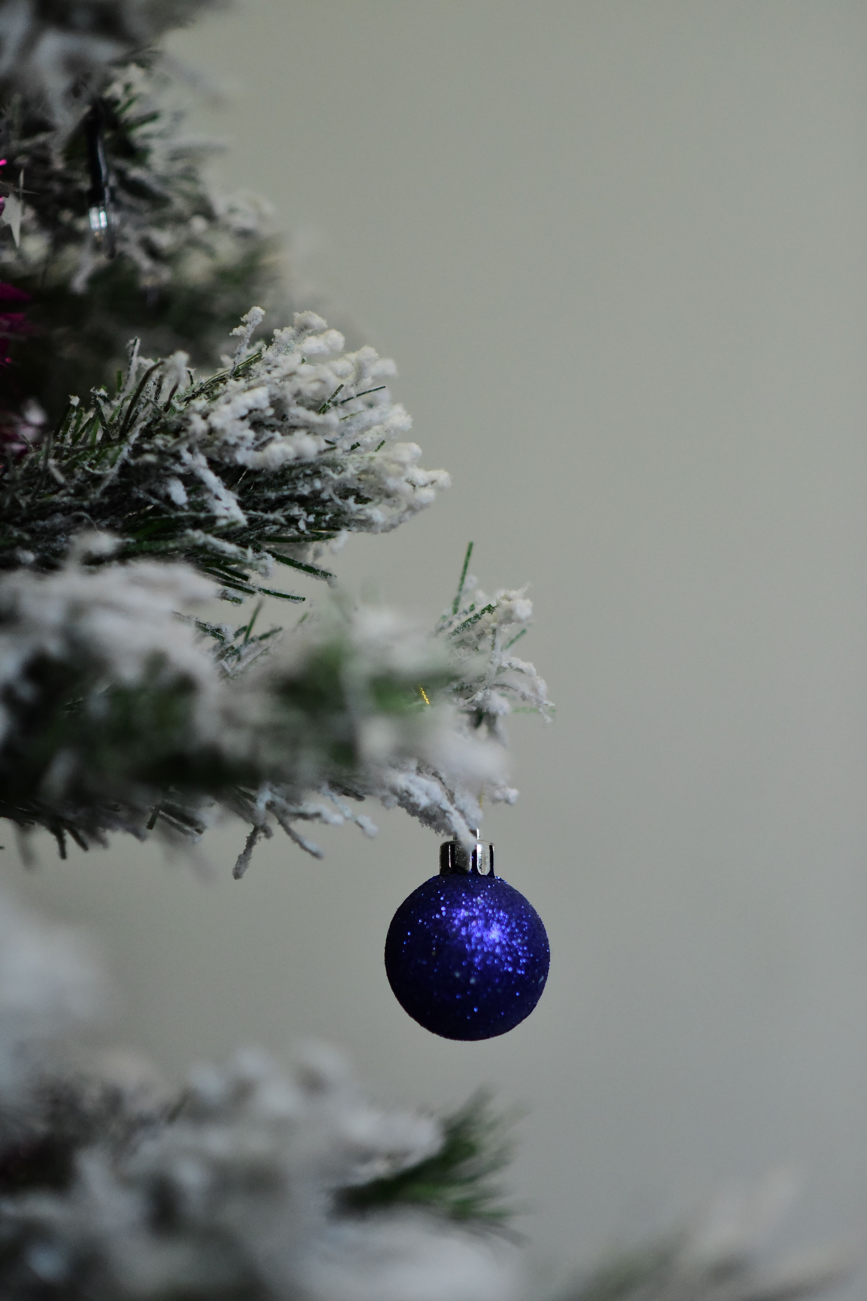 Close-up of a Christmas Tree with Blue Bauble · Free Stock Photo