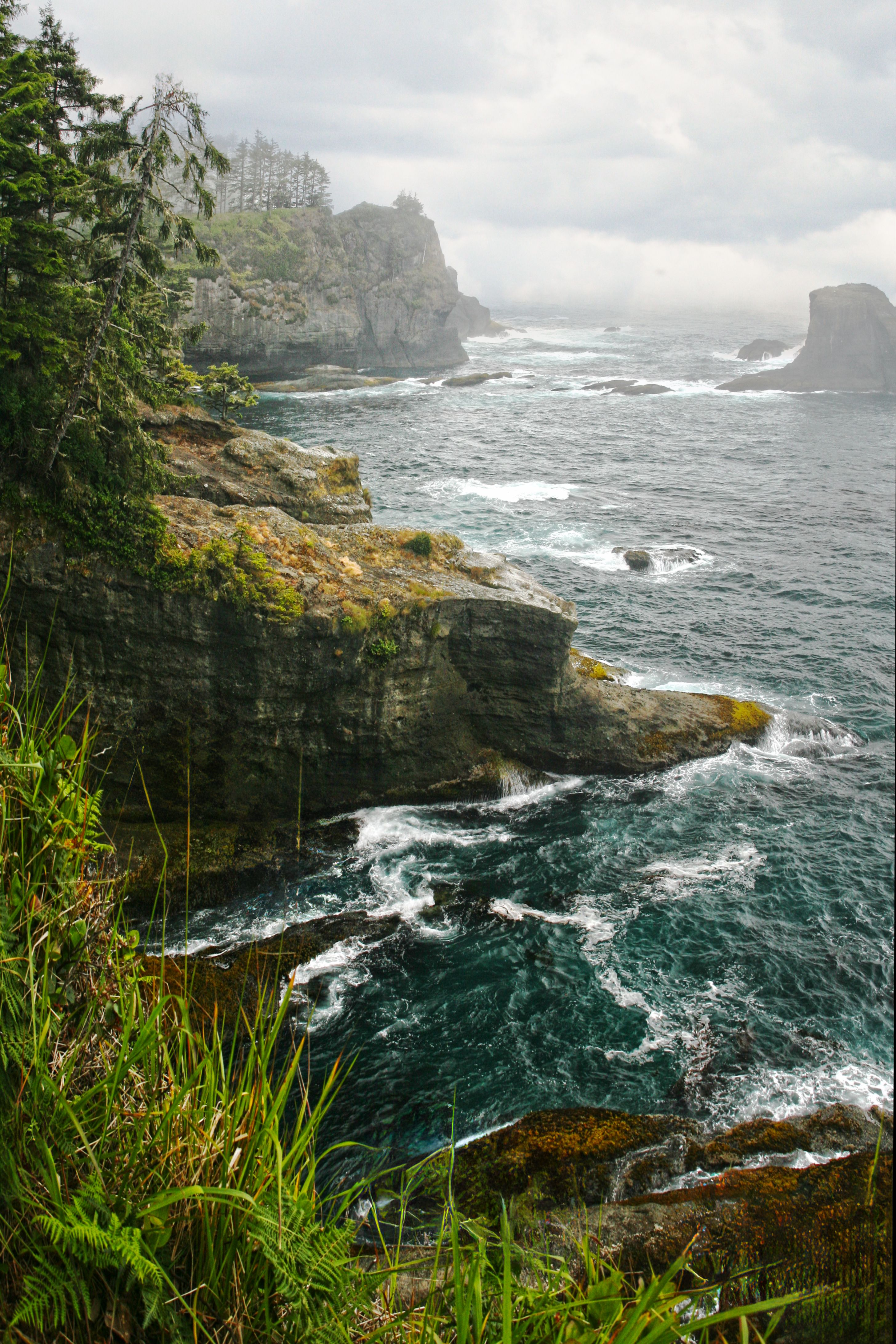 Dramatic Coastal Cliffs in Washington State · Free Stock Photo