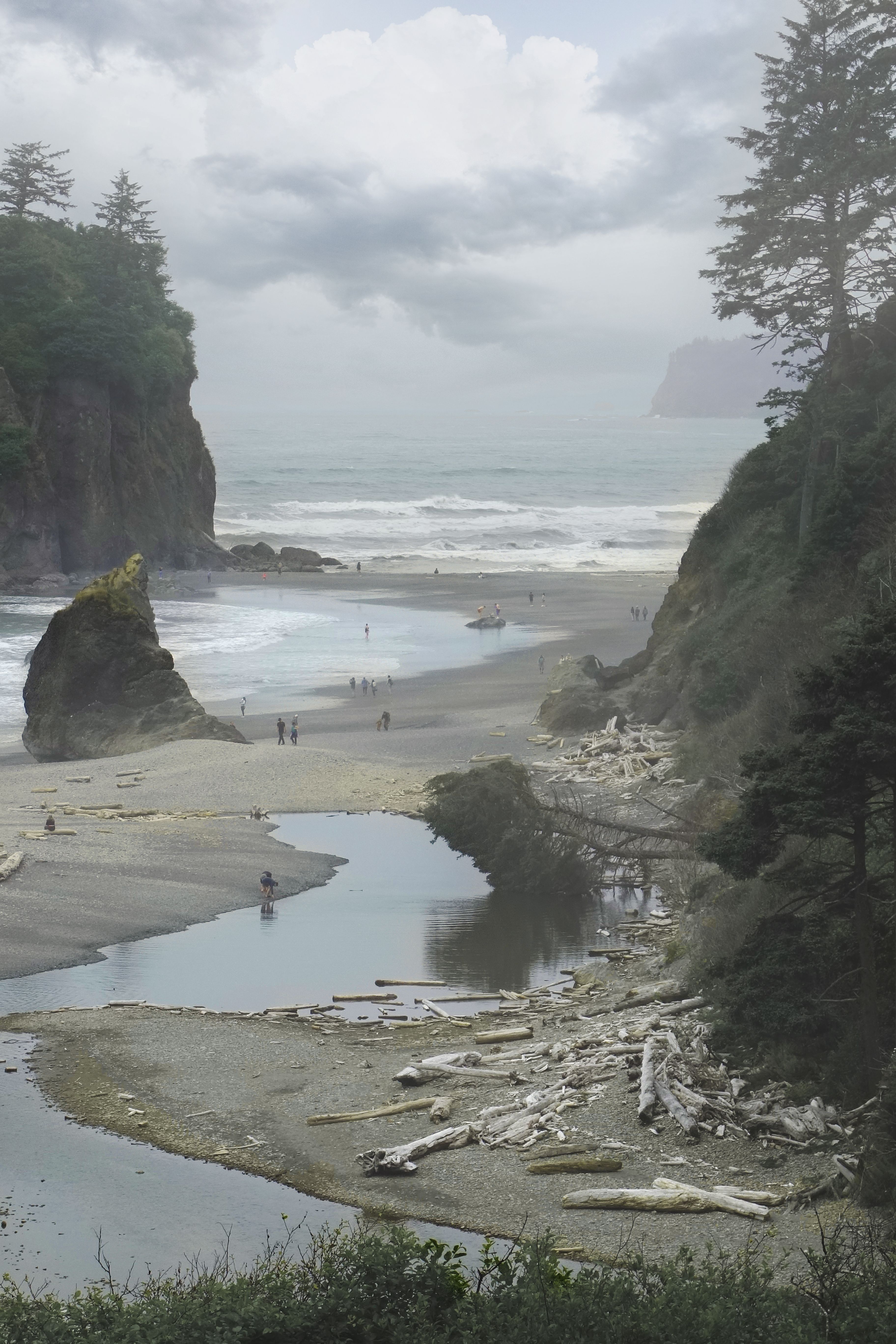 Scenic Coastal View of La Push Beach · Free Stock Photo