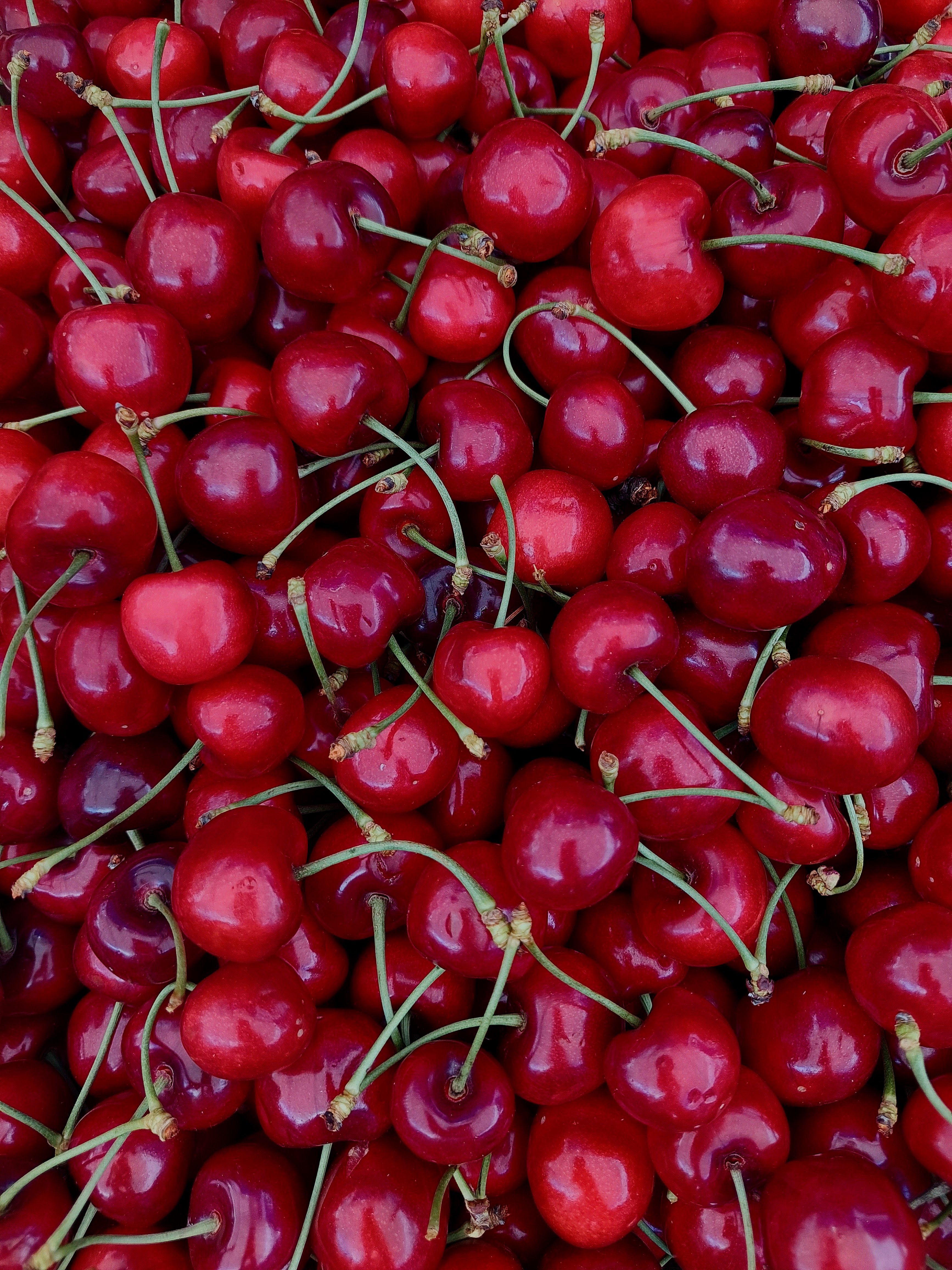 Fresh Red Cherries at a Farmers Market · Free Stock Photo