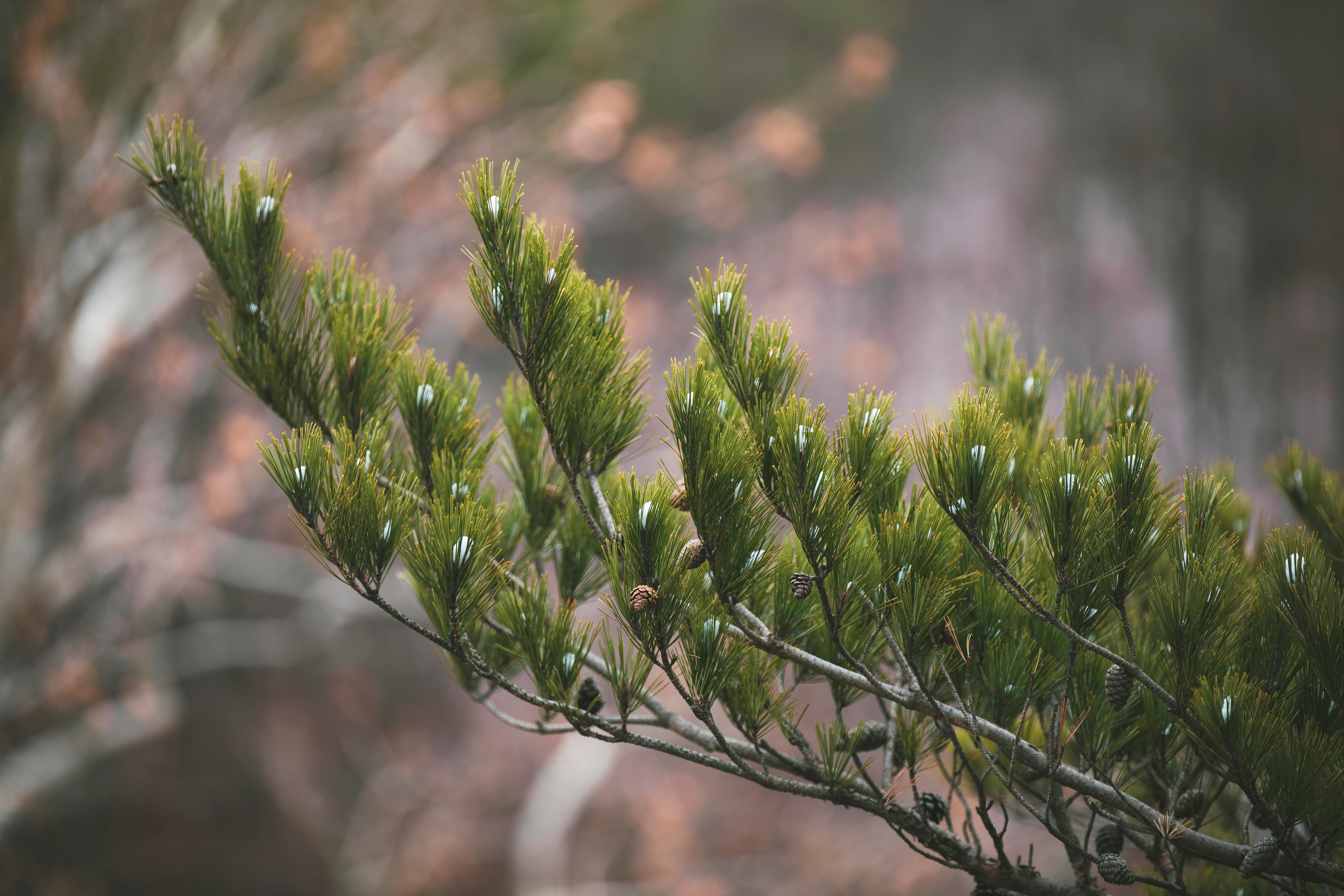 Green Hacker Background Photos, Download The BEST Free Green Hacker ...