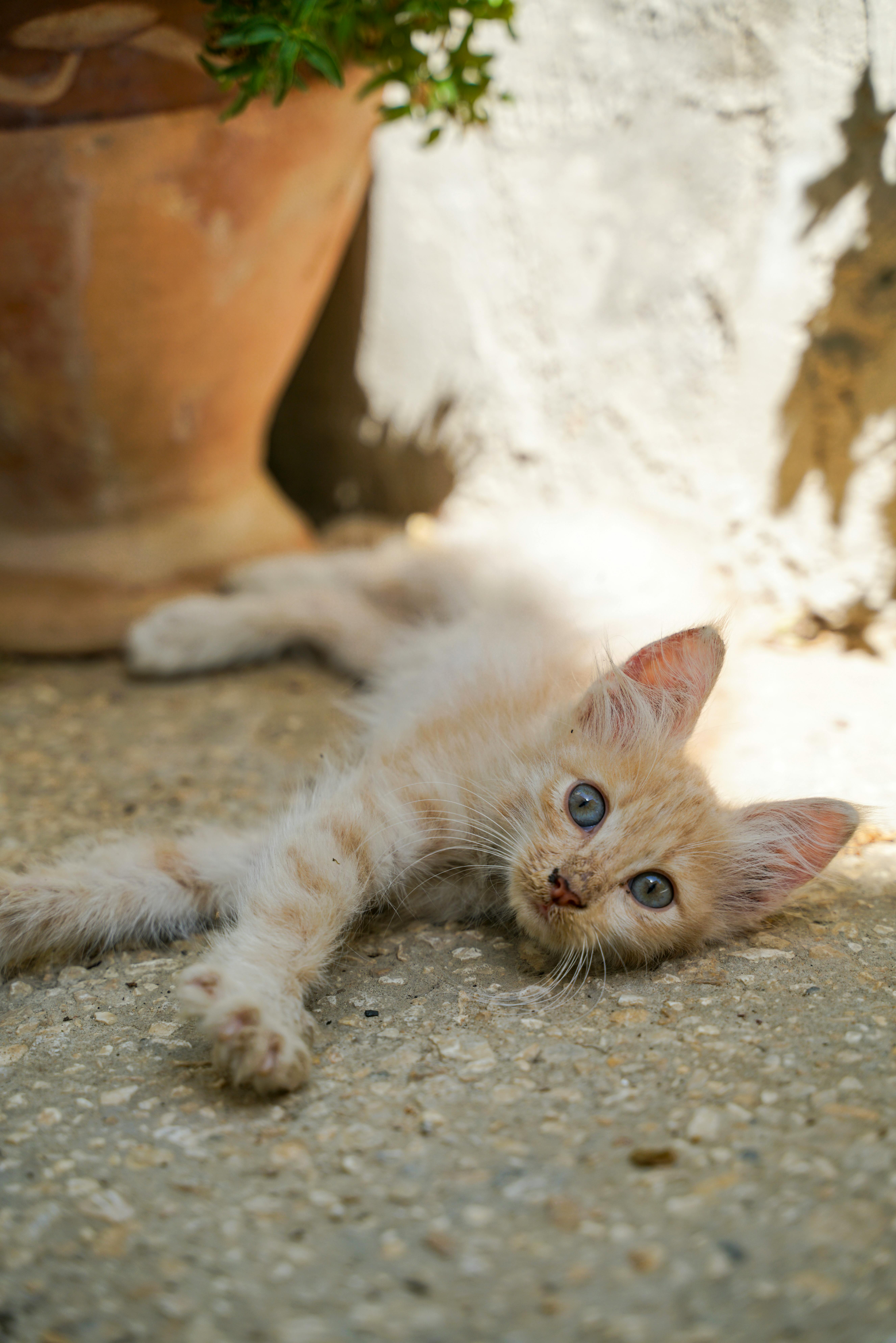 Cute+Nn+Jb+Girls Photos, Download The BEST Free Cute+Nn+Jb+Girls Stock ...