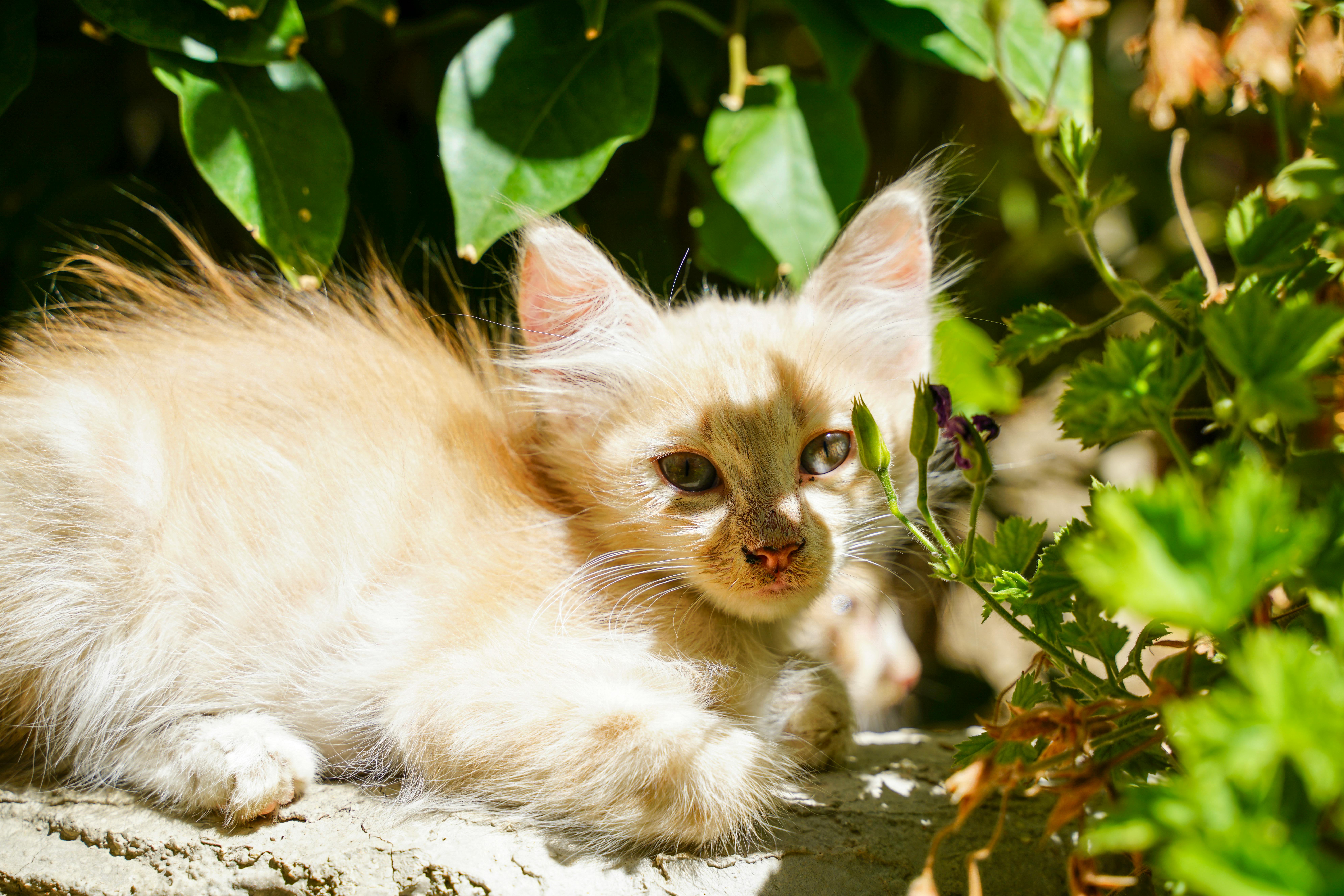 Cute+Nn+Jb+Girls Photos, Download The BEST Free Cute+Nn+Jb+Girls Stock ...