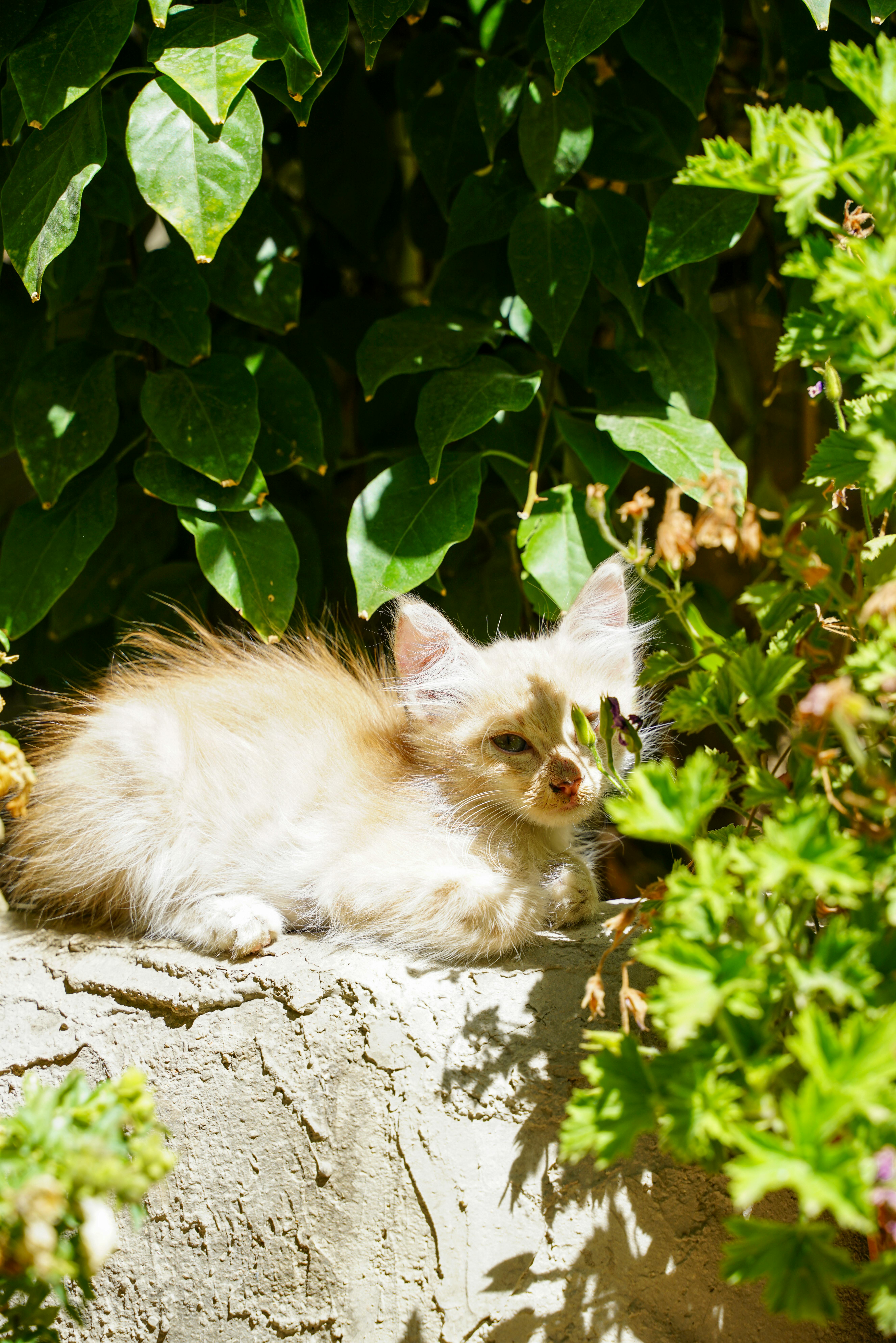 Cute+Nn+Jb+Girls Photos, Download The BEST Free Cute+Nn+Jb+Girls Stock ...