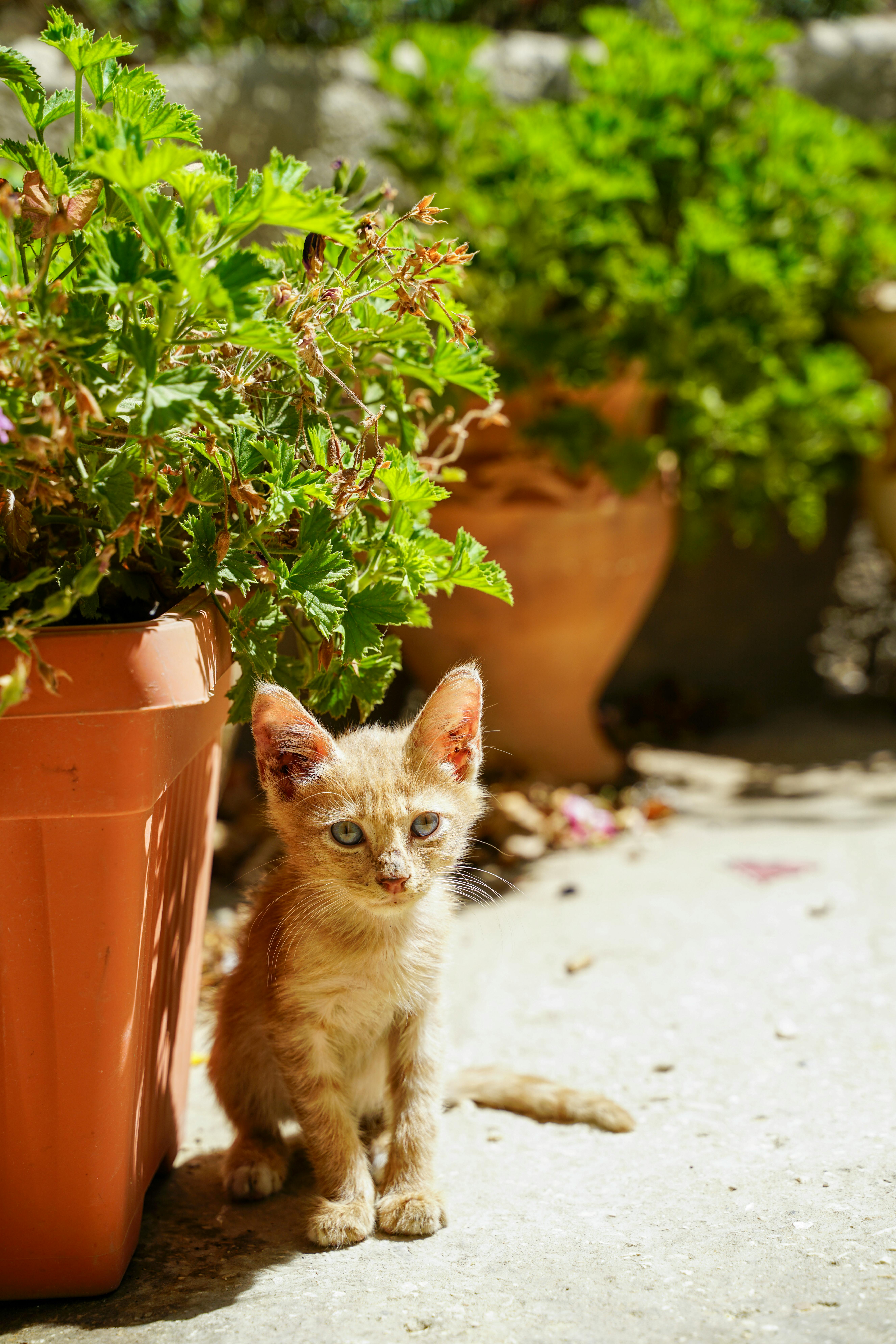 Cute+Nn+Jb+Girls Photos, Download The BEST Free Cute+Nn+Jb+Girls Stock ...