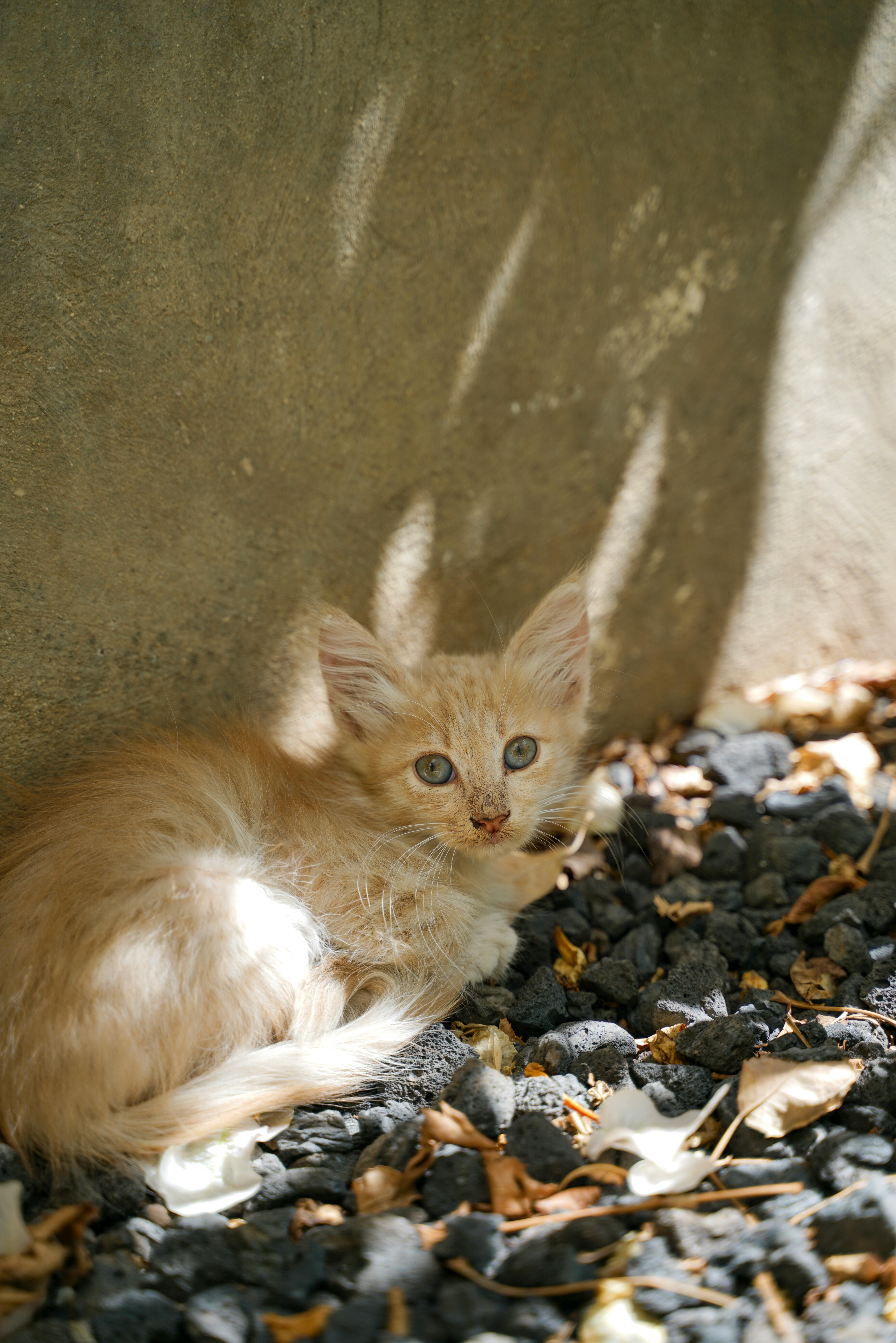 Cute+Nn+Jb+Girls Photos, Download The BEST Free Cute+Nn+Jb+Girls Stock ...