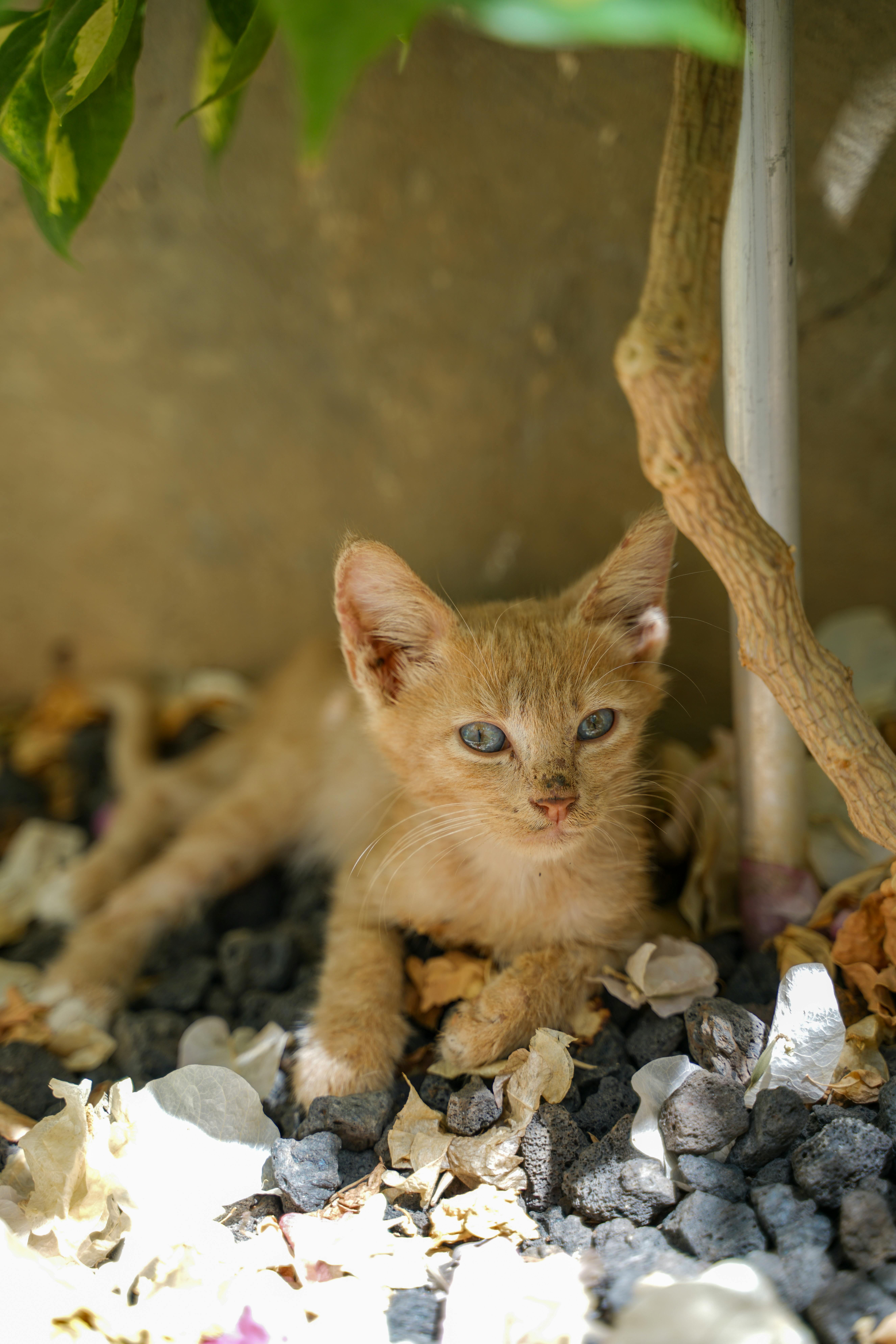 Cute+Nn+Jb+Girls Photos, Download The BEST Free Cute+Nn+Jb+Girls Stock ...