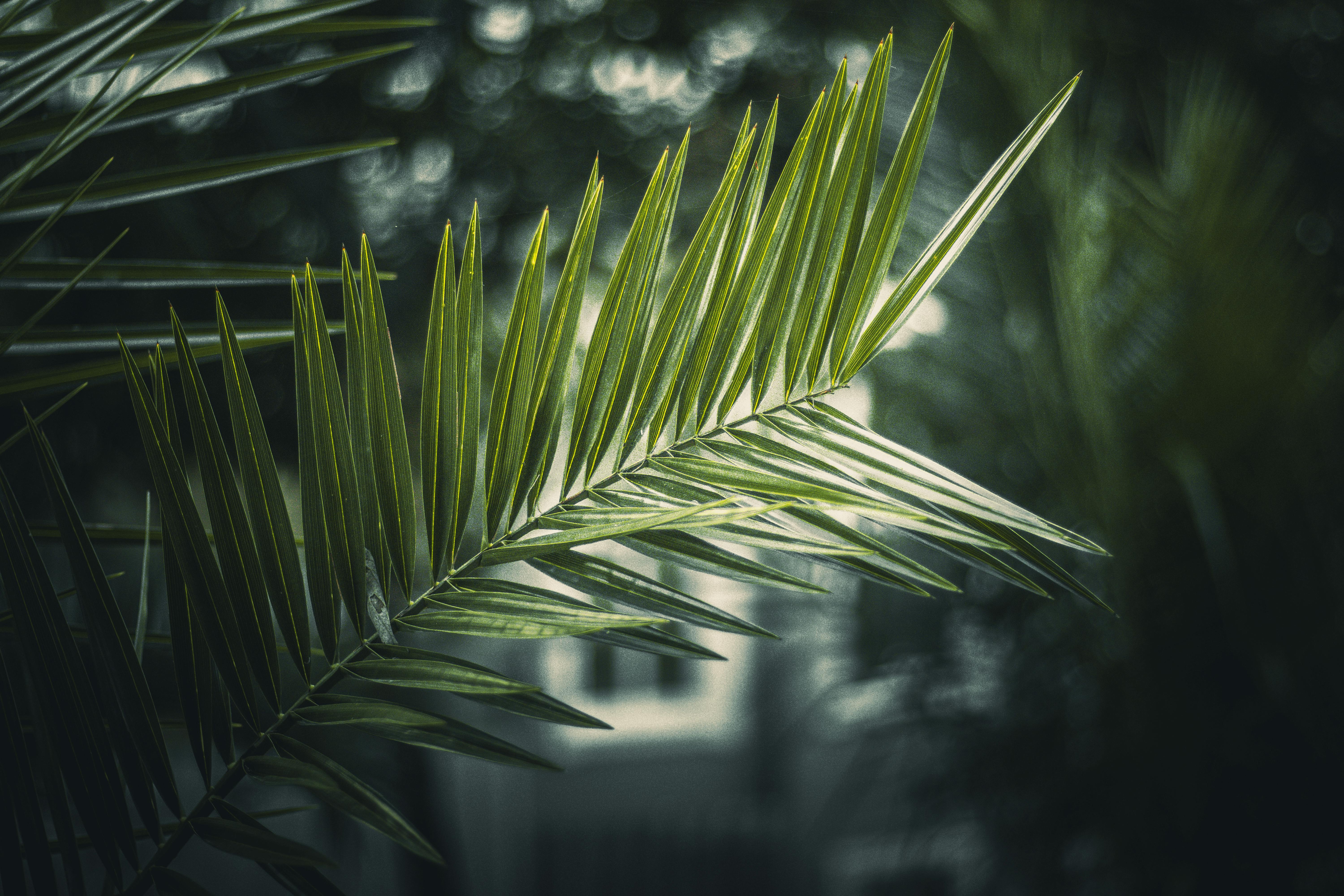 Vertical Lines Photos, Download The BEST Free Vertical Lines Stock ...