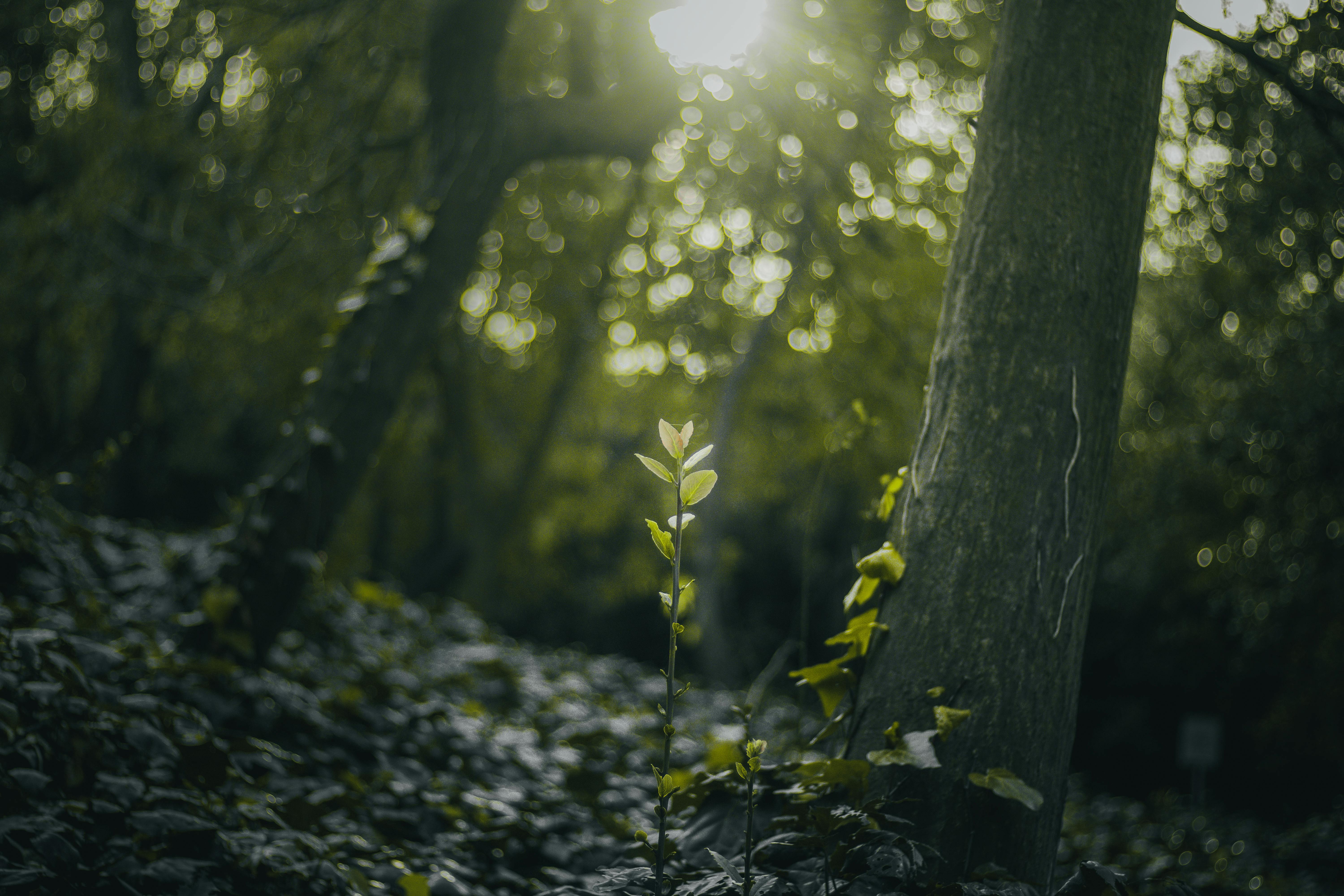 Les 100.000+ millors fotos sobre Bokep Vcs&qs=n&form=qbre&sp=-1&ghc=1&lq=0&pq=bokep Vcs&sc=0-9 ...