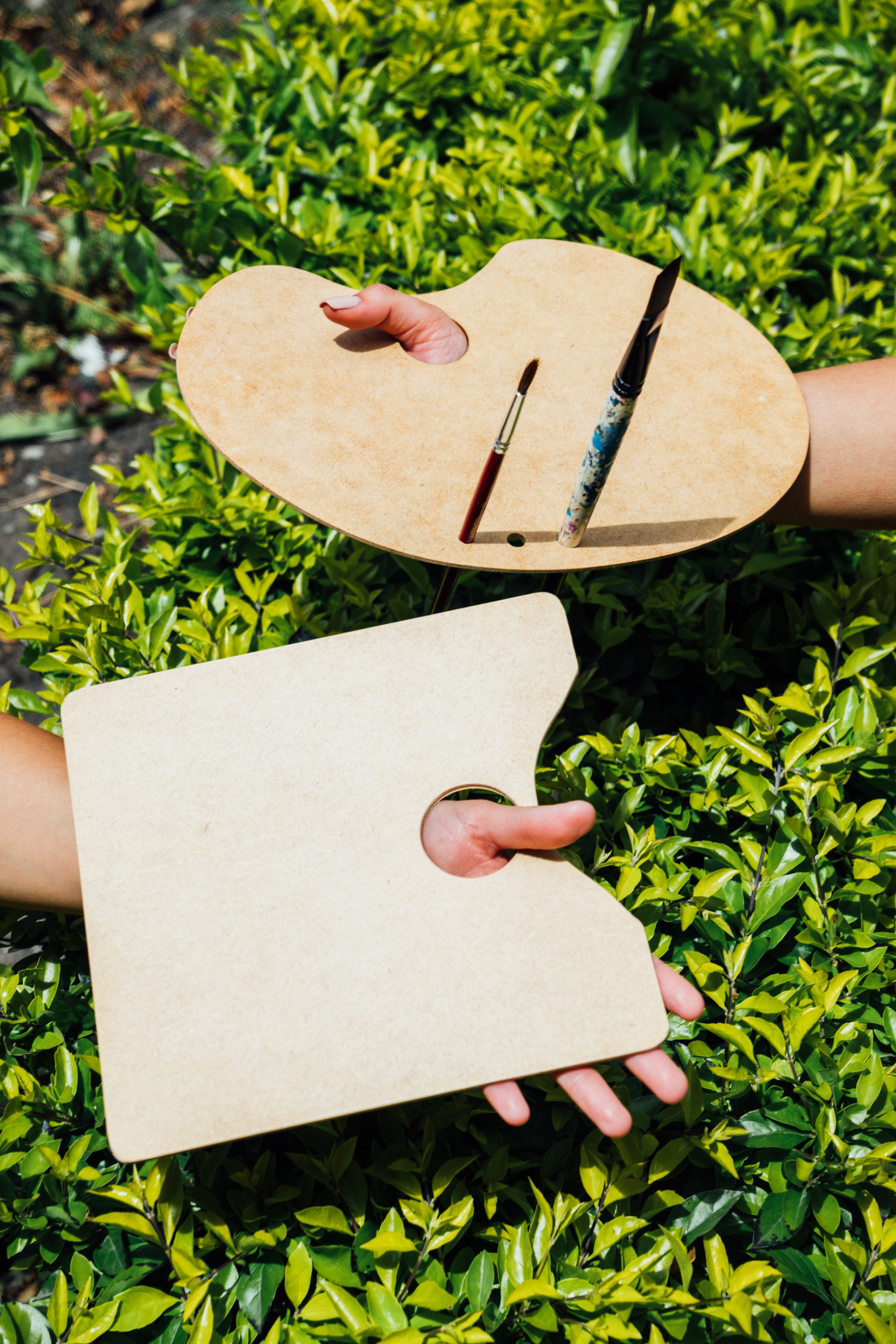 Hands Holding Artist Palettes in Sunny Garden · Free Stock Photo