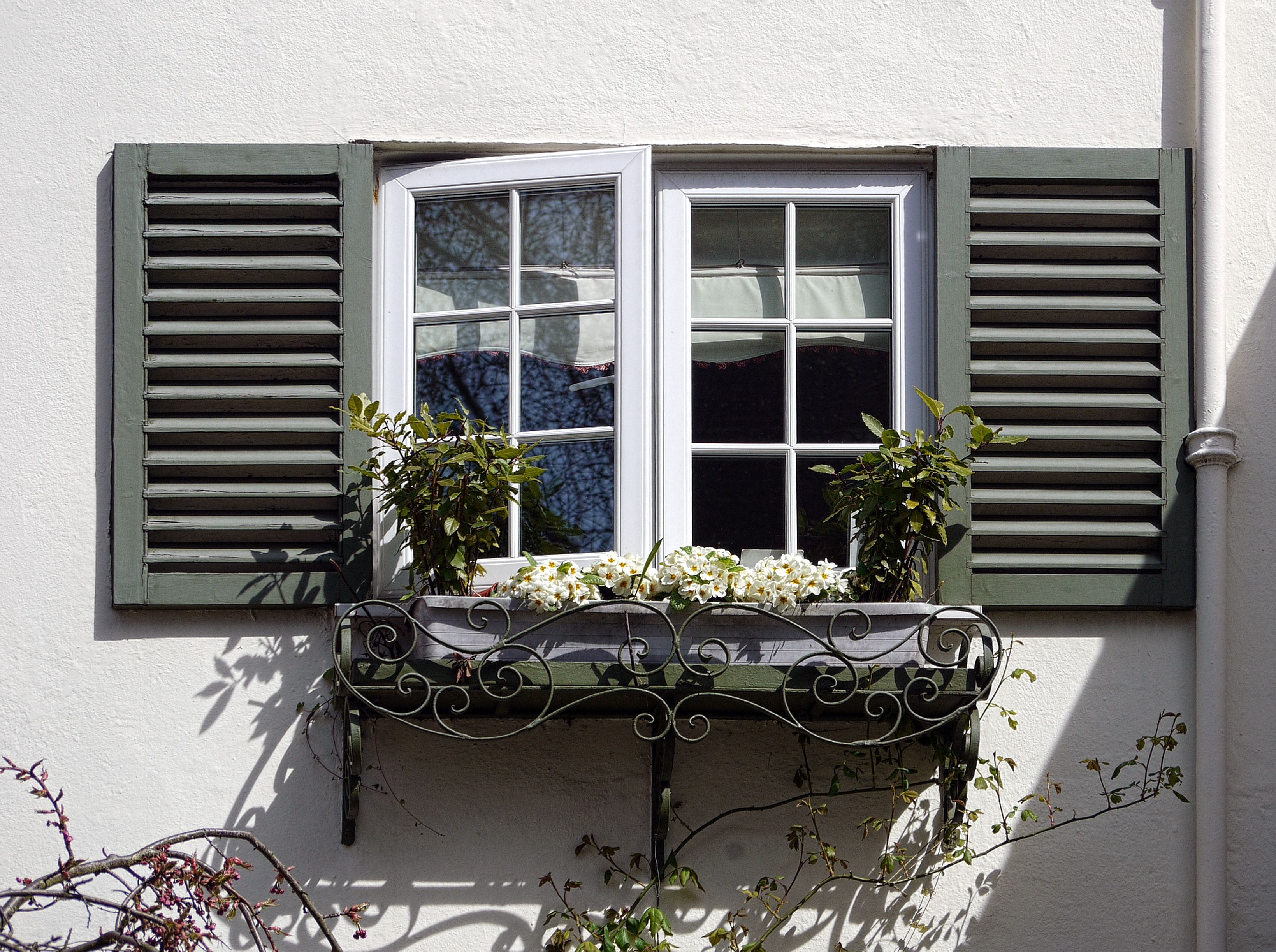 Charming Window with Flowers and Green Shutters · Free Stock Photo